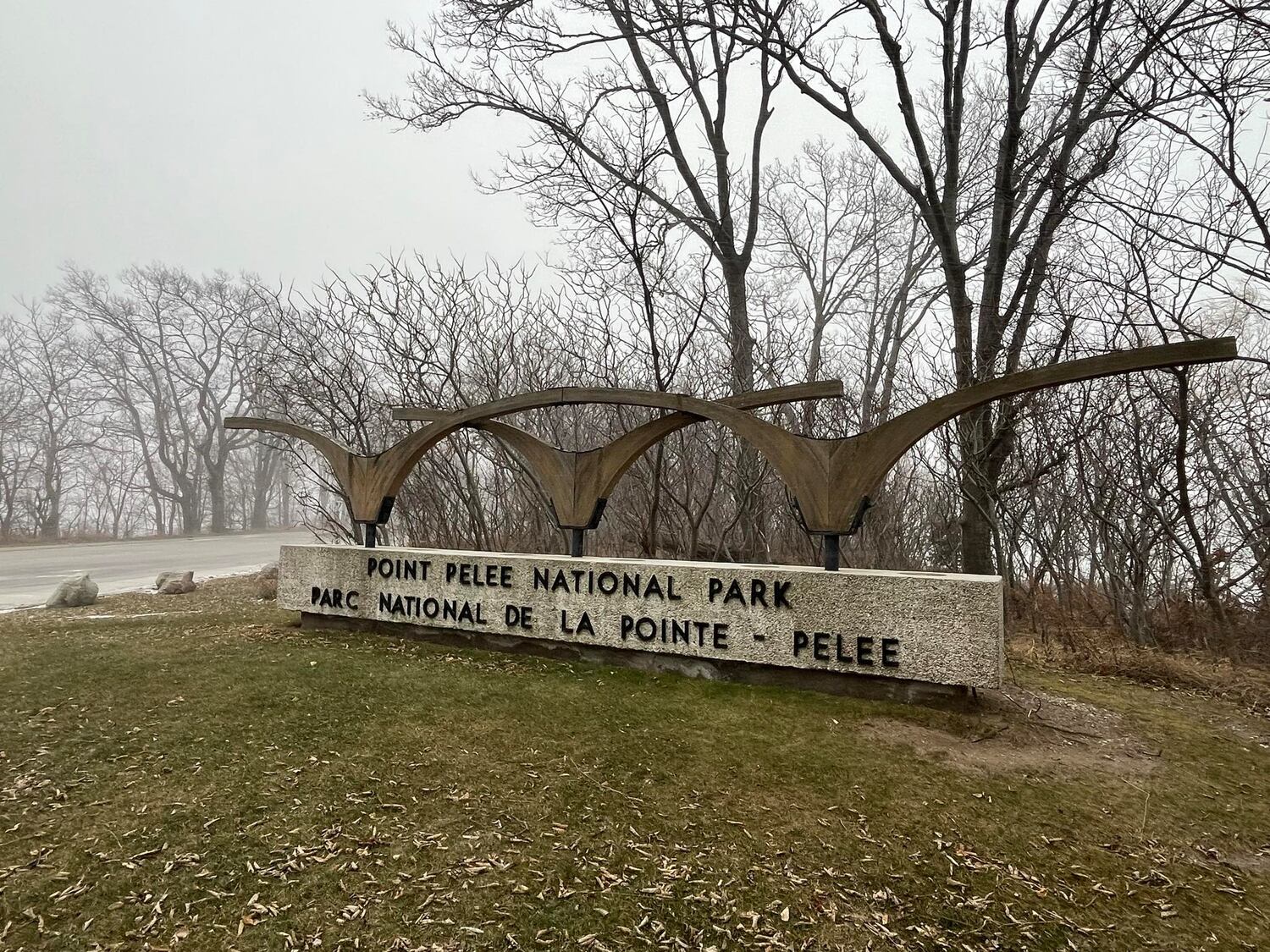 73rd annual Christmas Bird Count at Point Pelee National Park – CTVNews