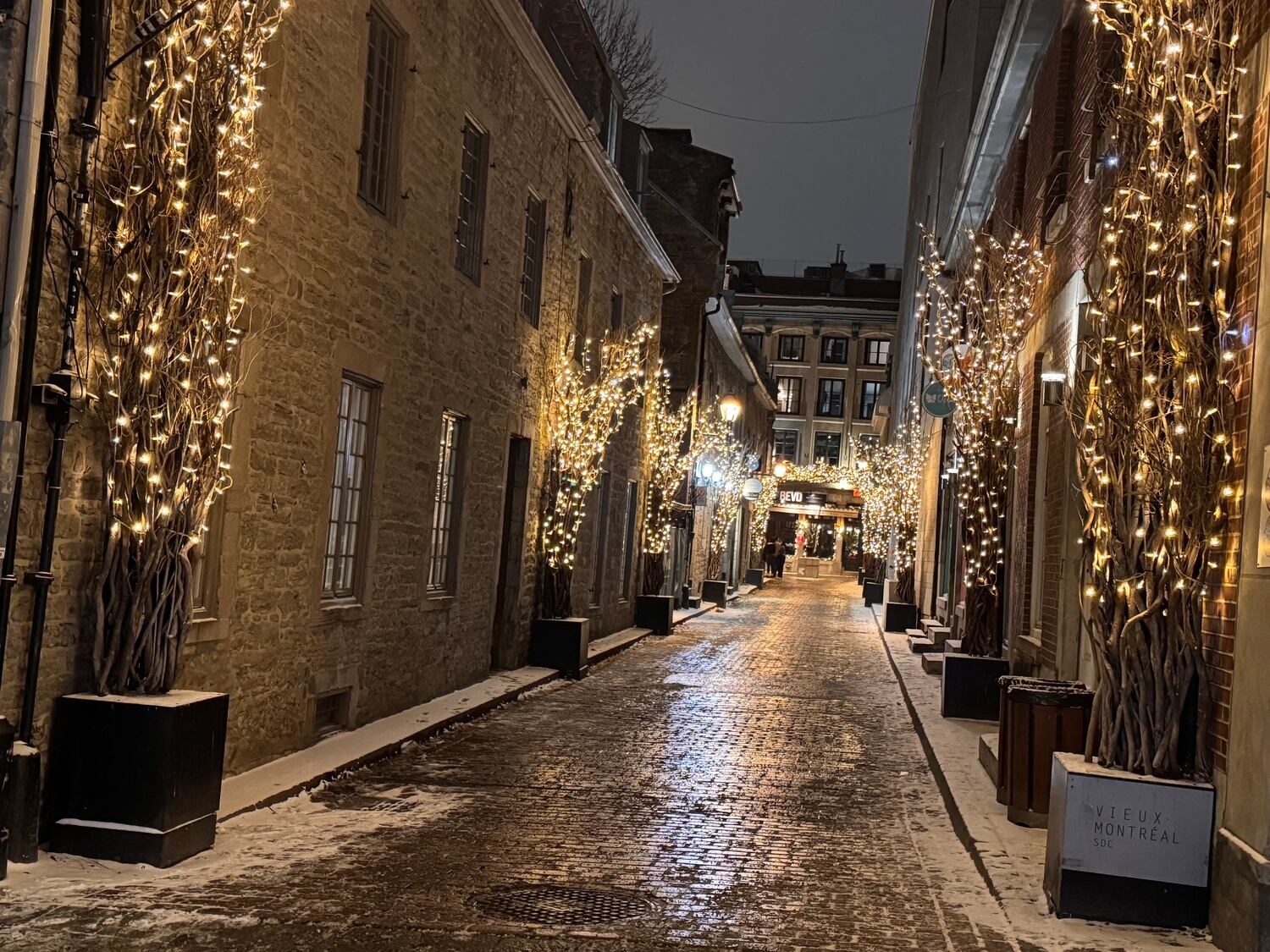 IN PHOTOS: Montreal lights up for the holidays – CTVNews