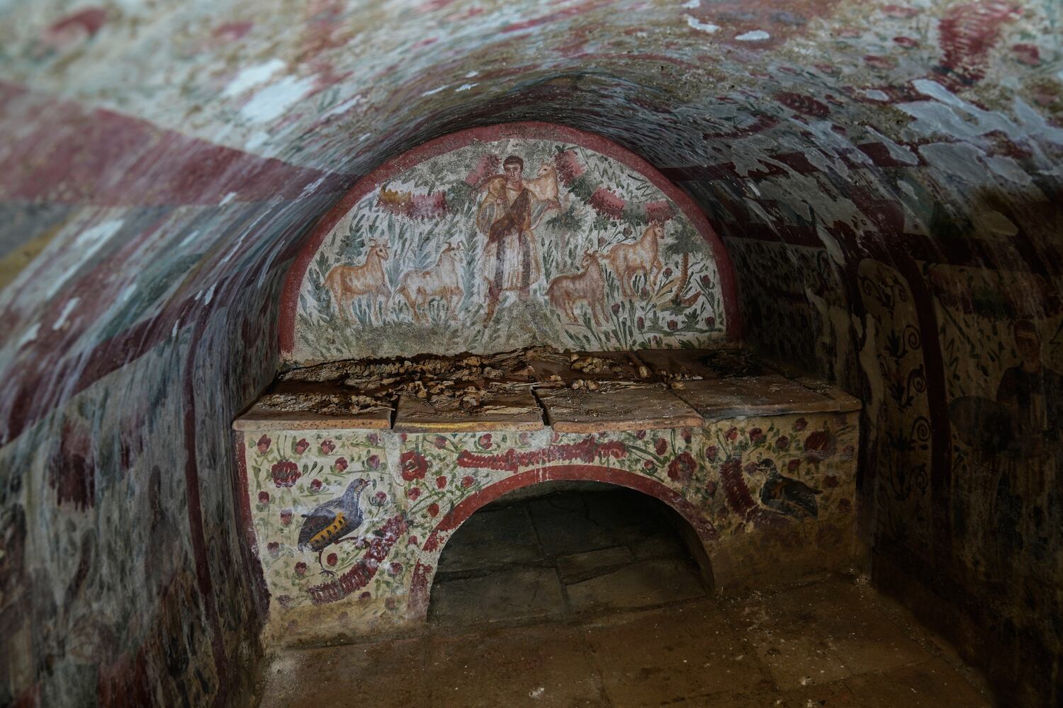 Inside newly discovered Roman-era tomb in Turkiye – CTVNews