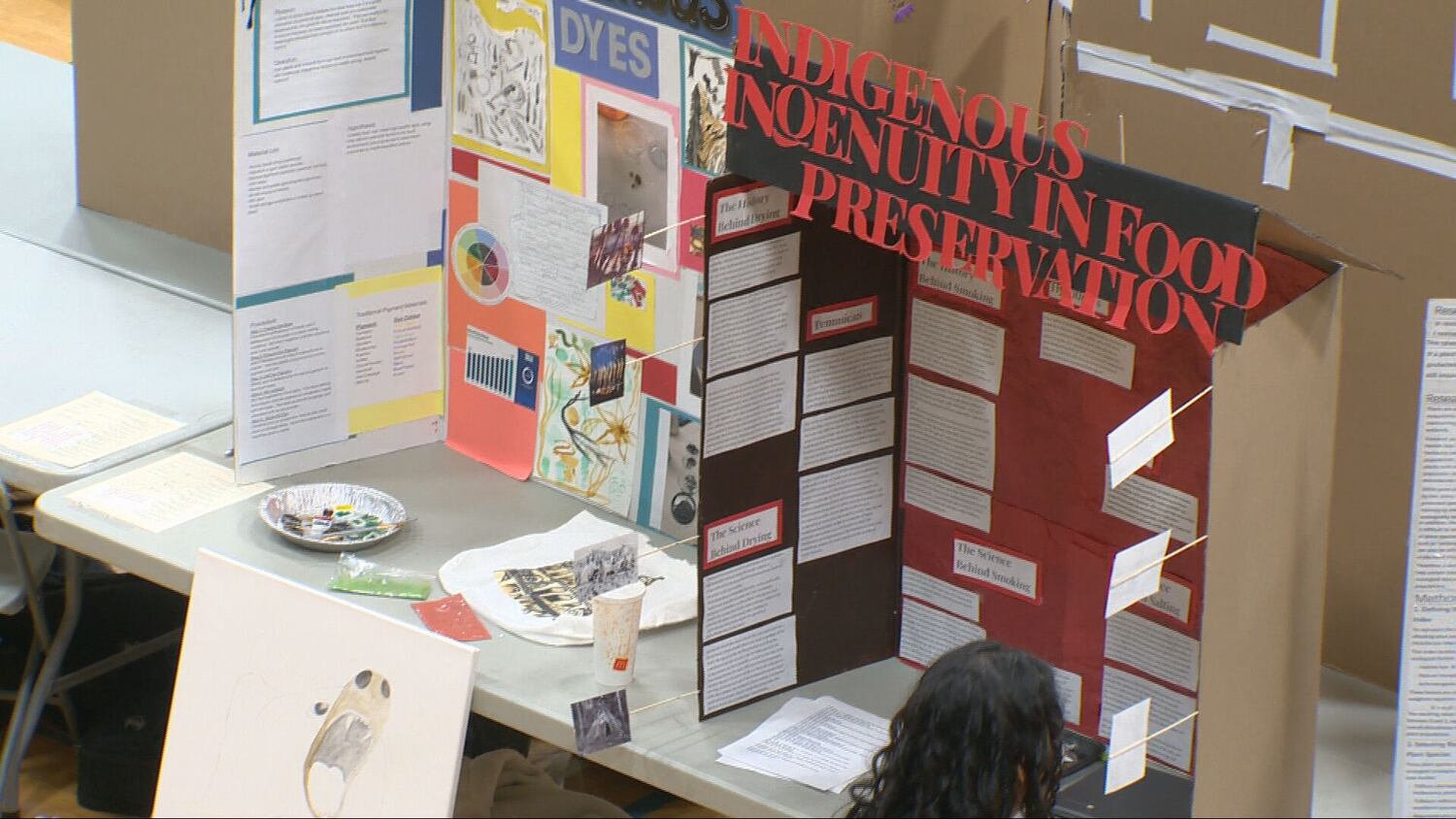 Winnipeg School Division Science Fair – CTVNews