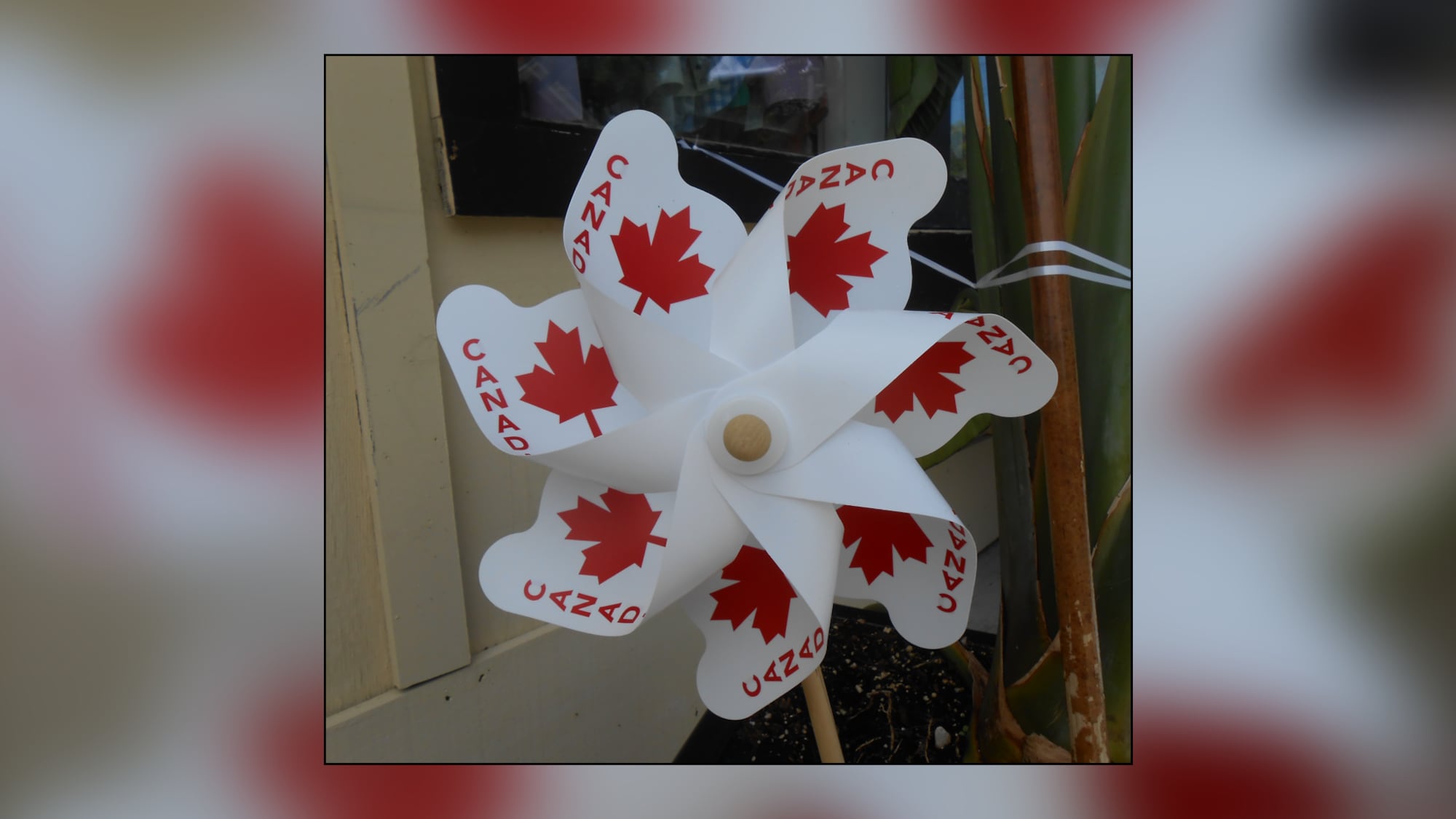 Picture This: Canada Day Celebrations – CTVNews