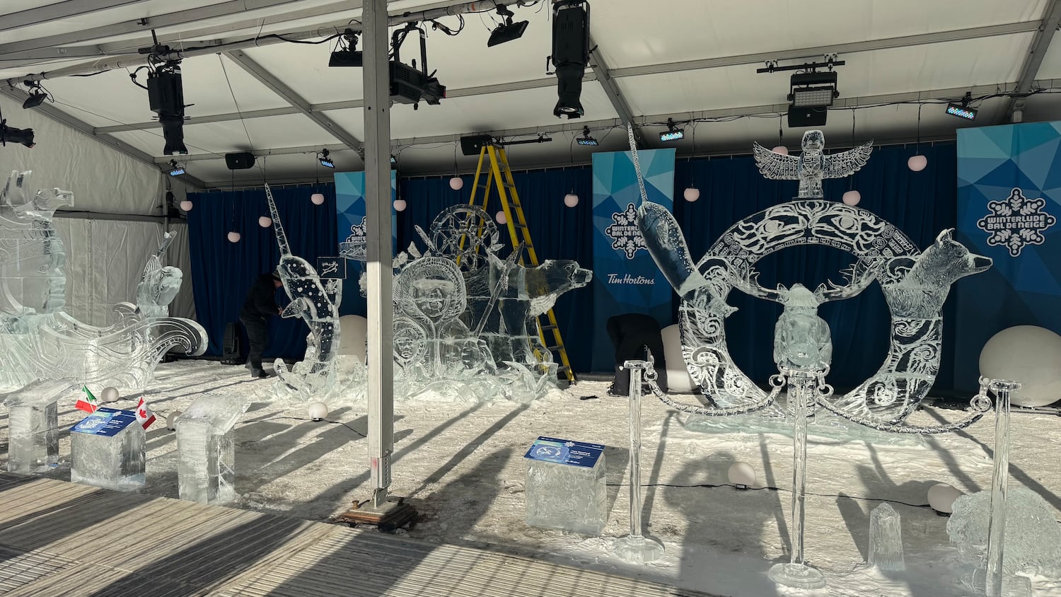 Winterlude celebrations in Ottawa-Gatineau – CTVNews
