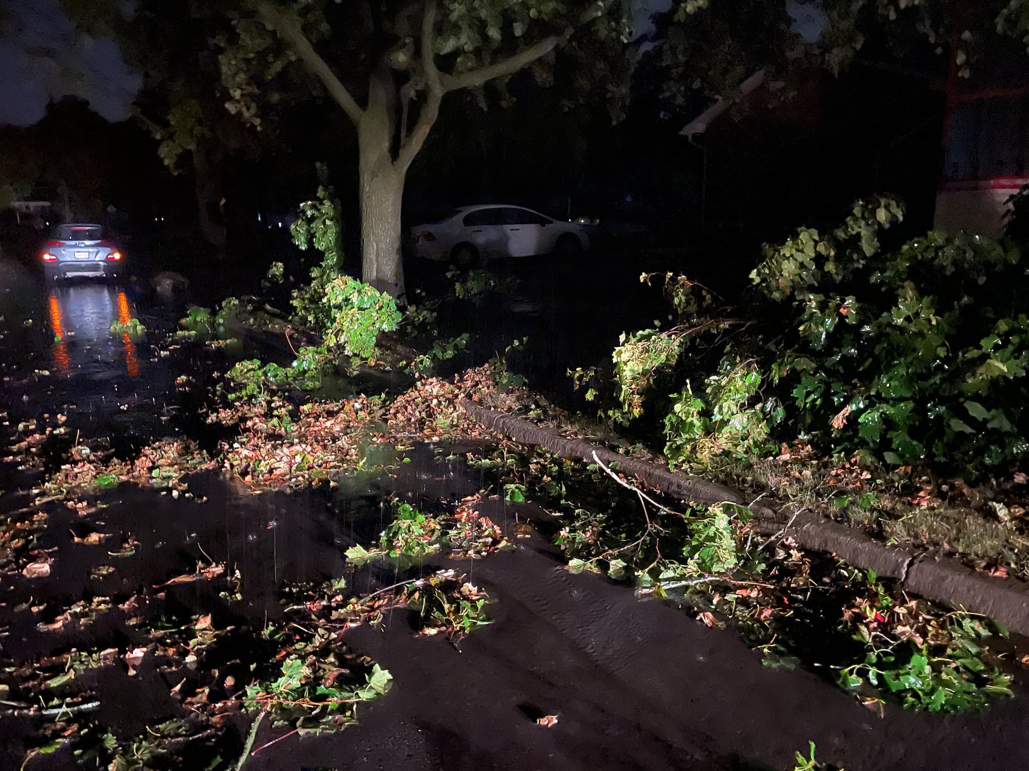 Storm hits southern Ontario on Sept. 22, 2025 – CTVNews