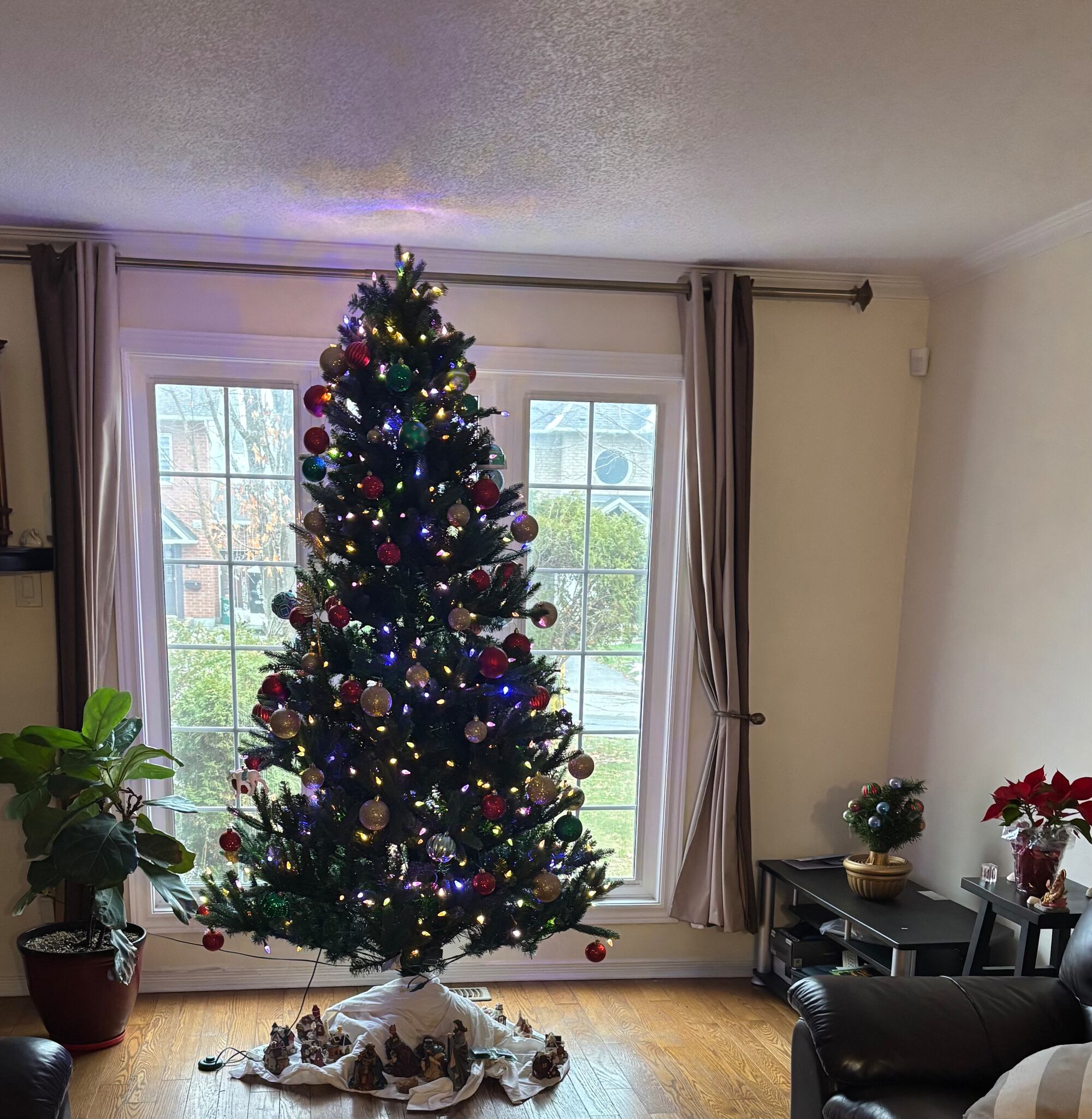 Christmas trees in the capital come in all shapes, sizes and directions ...