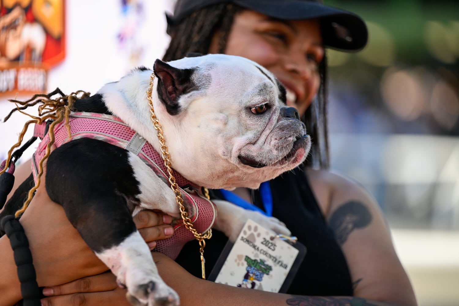 World’s Ugliest Dog Contest: Here are some of the top contenders – CTVNews