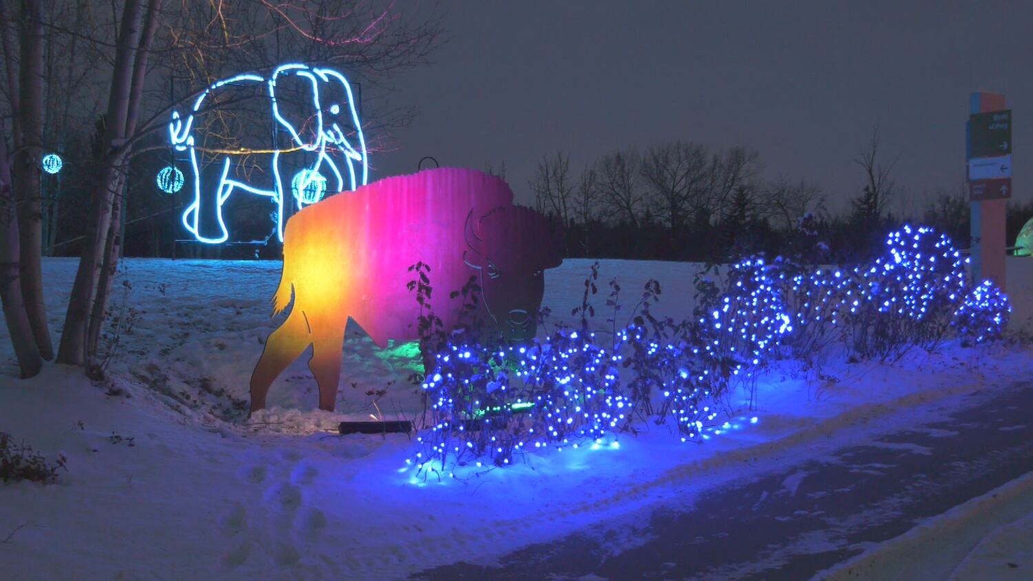 Zoominescence at the Edmonton Valley Zoo – CTVNews