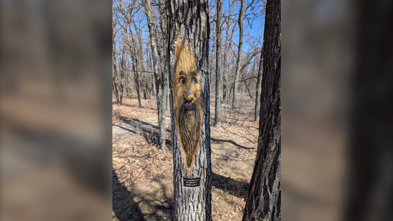 Tree carvings in Bois-des-Esprits – CTVNews
