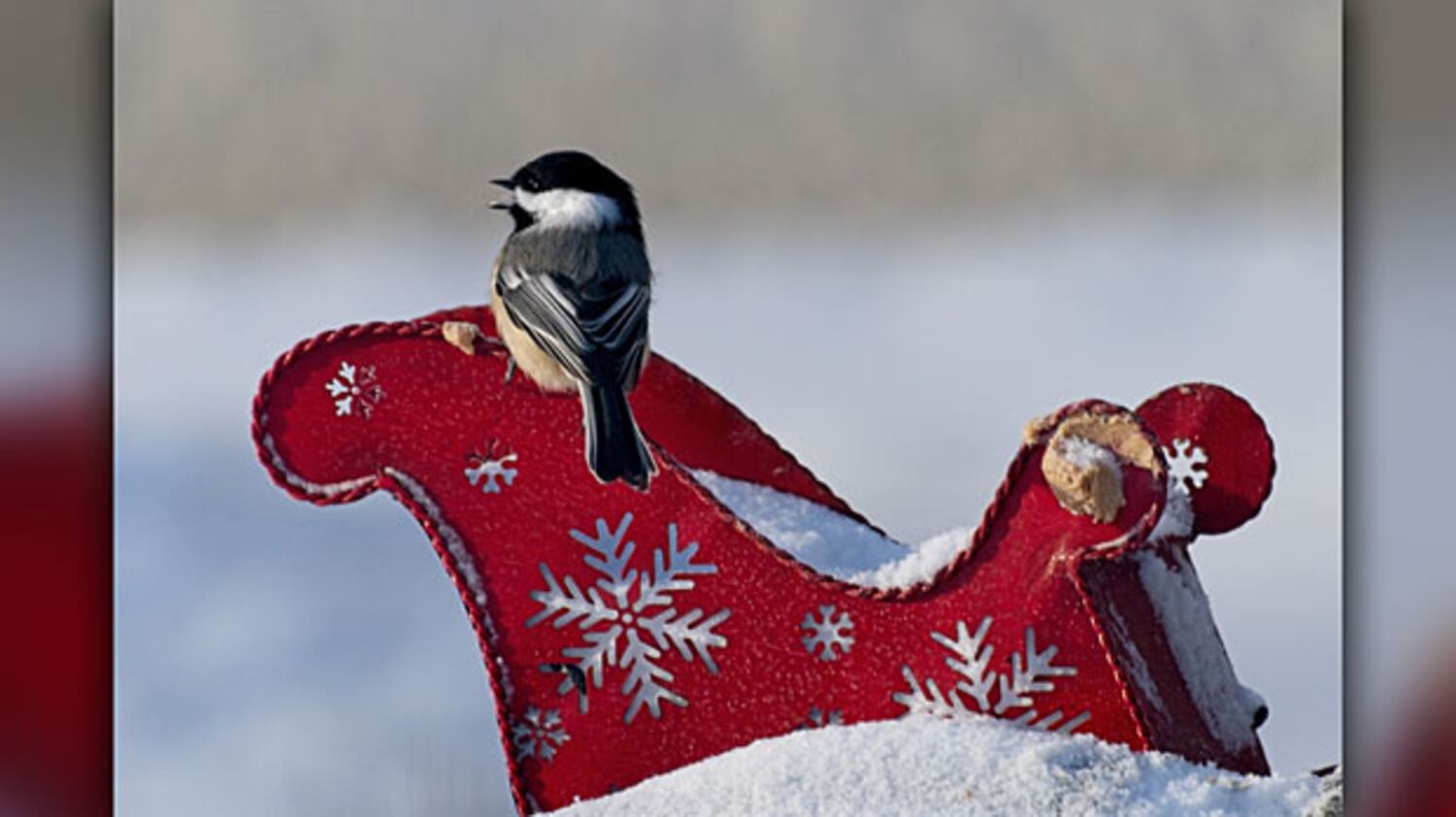 Skywatch weather photos - December 2025 – CTVNews