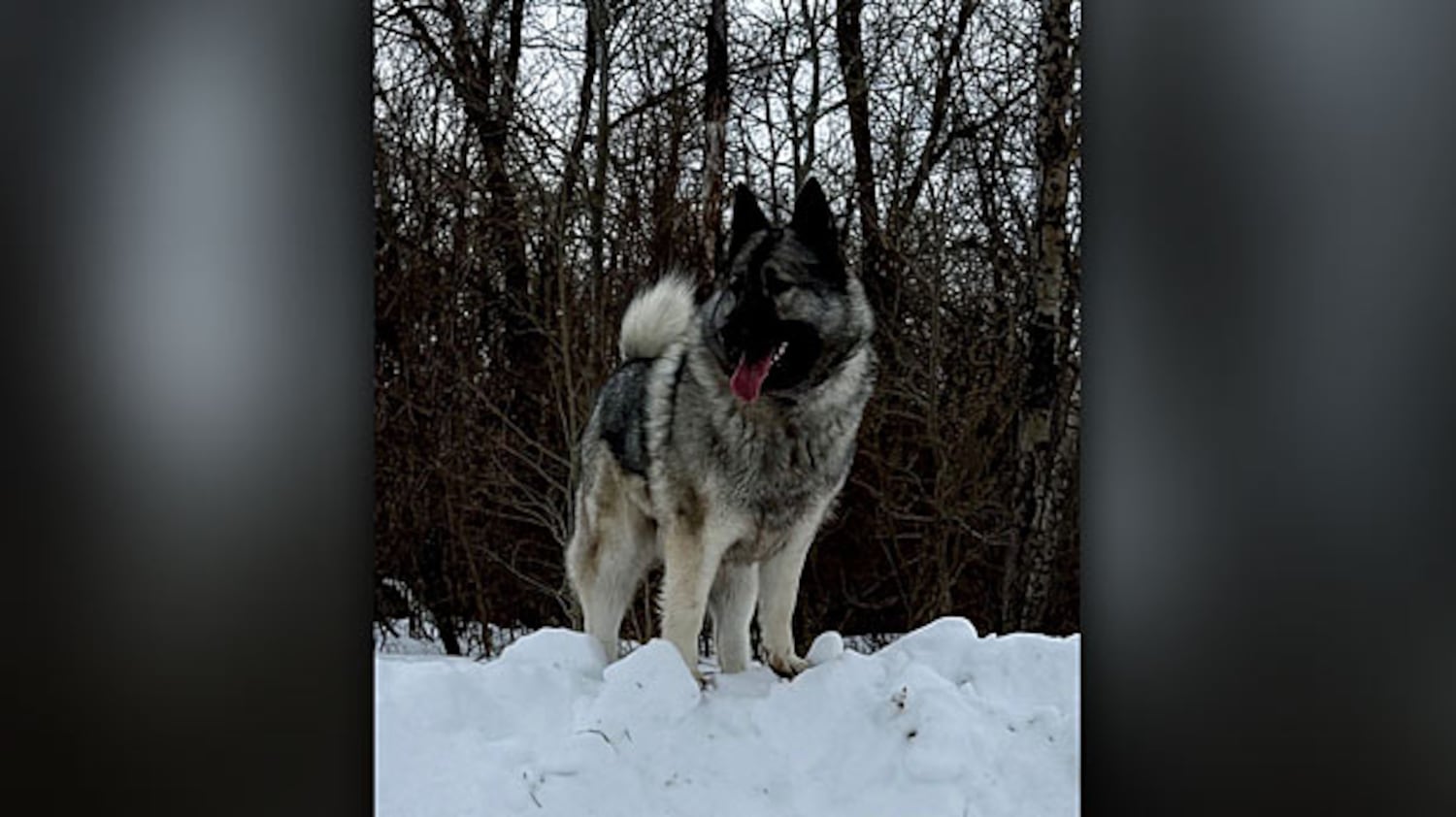 Skywatch pics of the Day - February – CTVNews