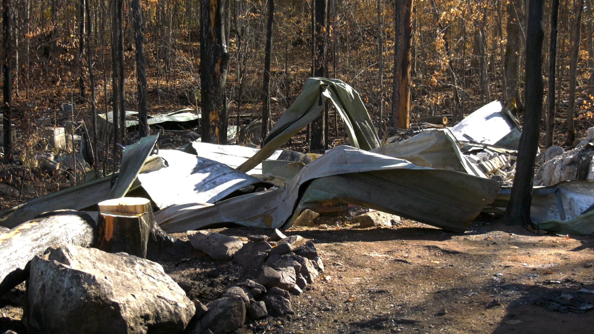 Surveying the damage from a wildfire on Bobs Lake – CTVNews