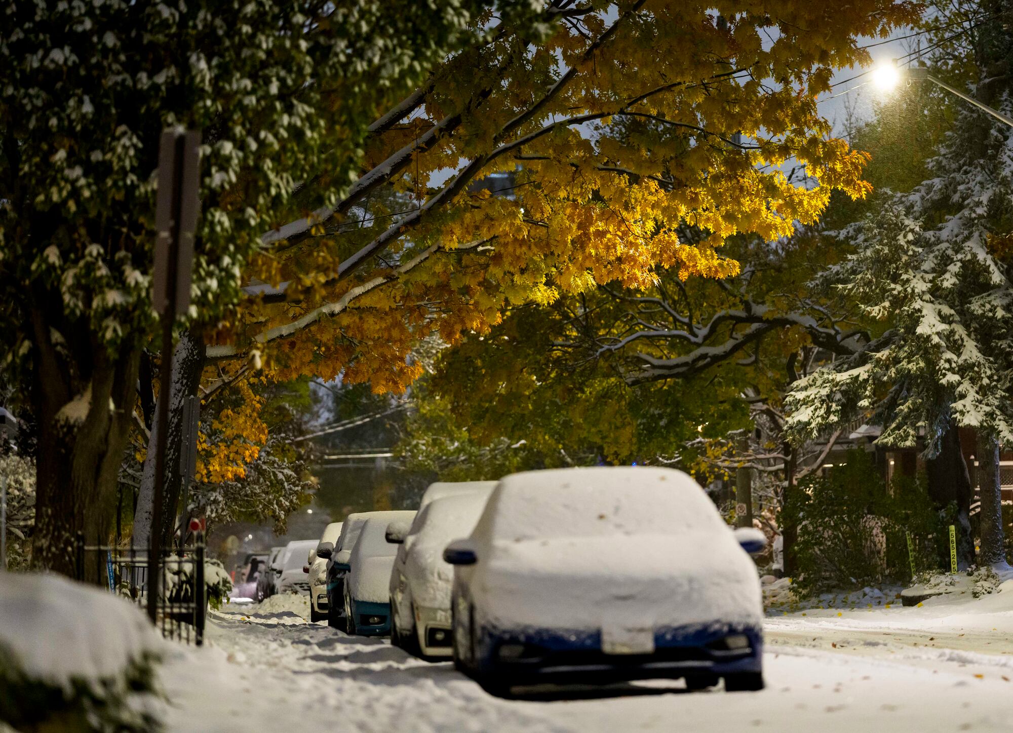 First snowfall of the season in Ottawa – CTVNews