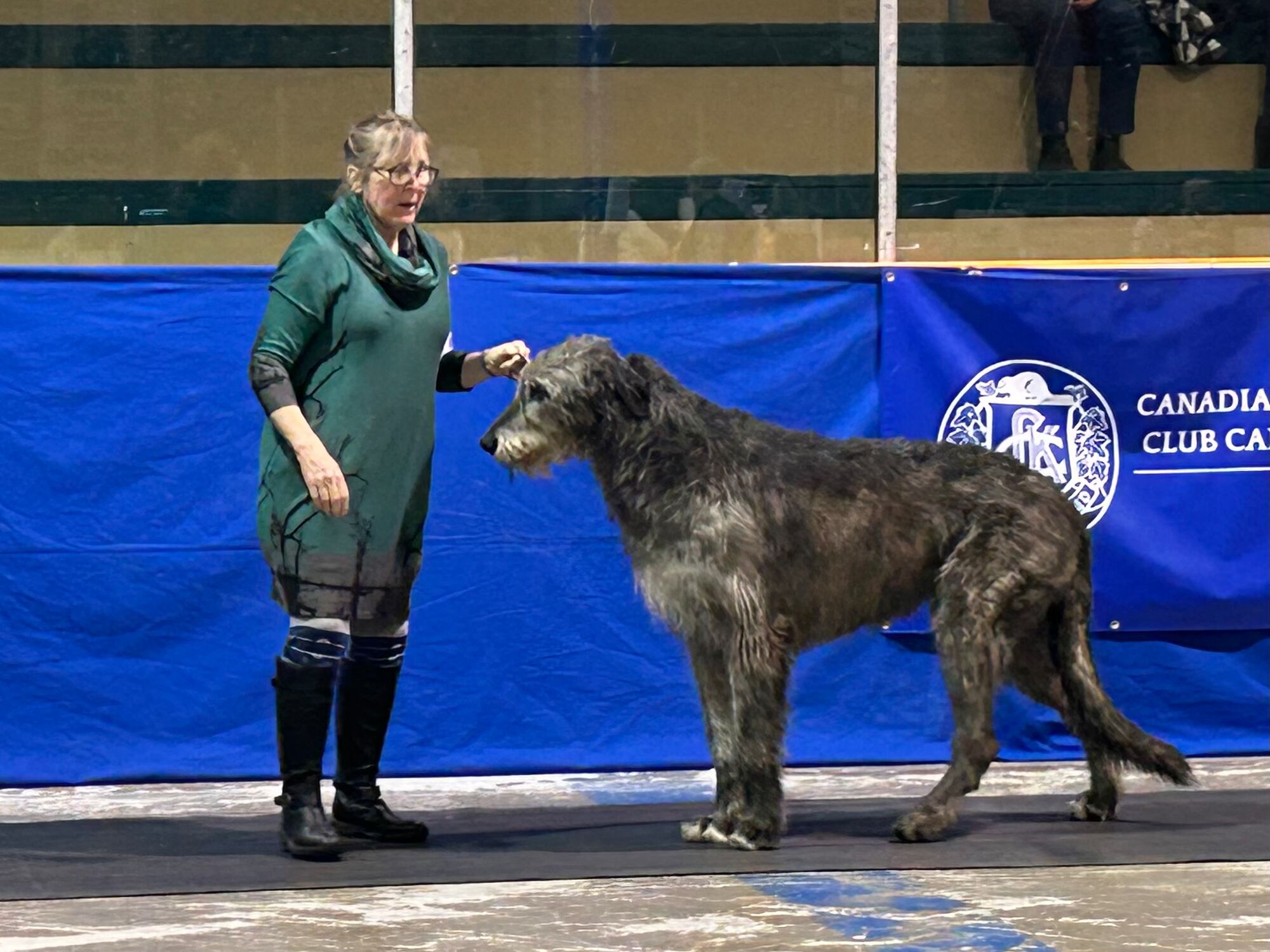 Nickel District Kennel Club dog show – CTVNews