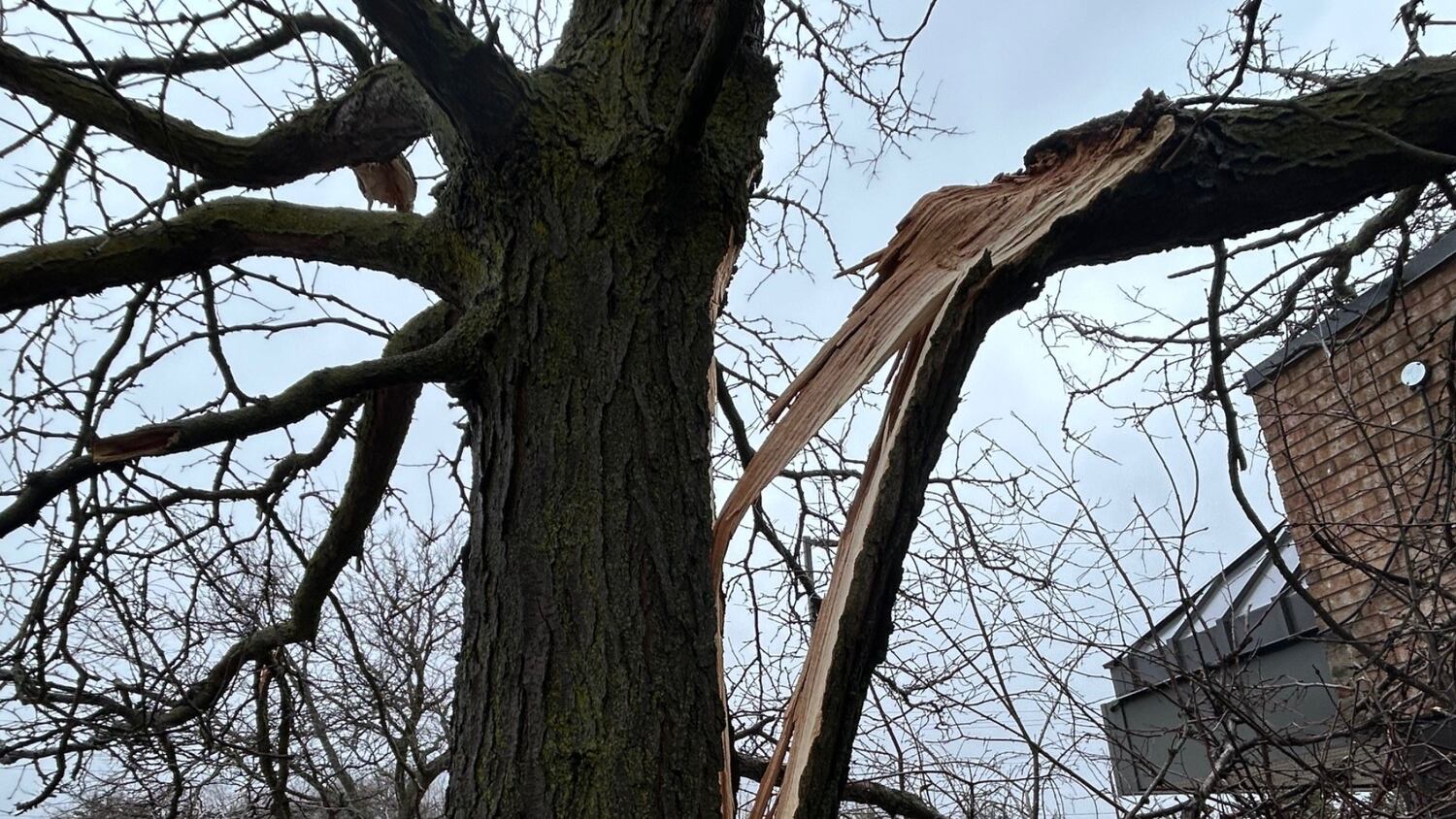 Ice storm causes widespread power outages and damage across Simcoe ...