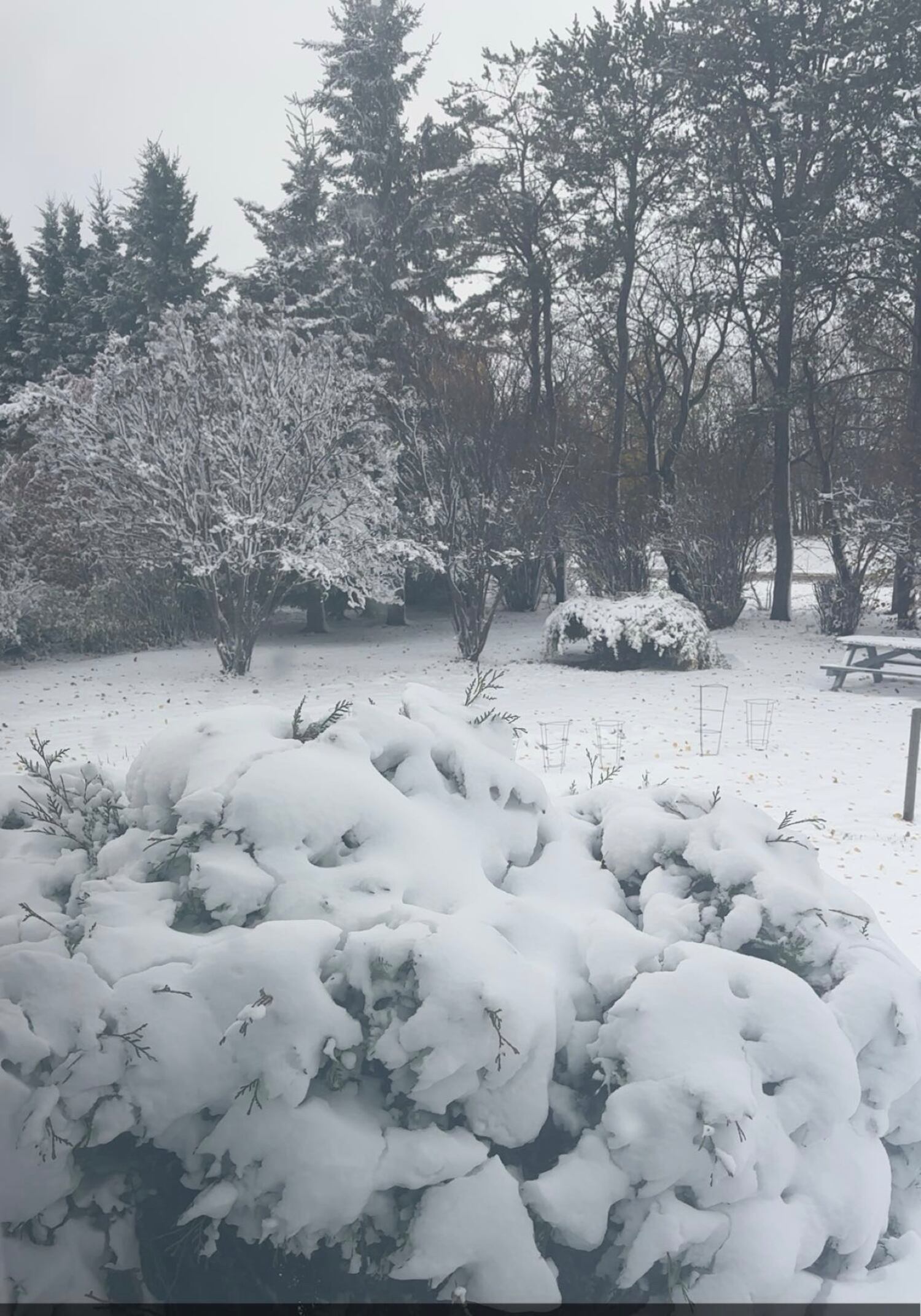 Manitoba Snow Storm - October 2025 – CTVNews
