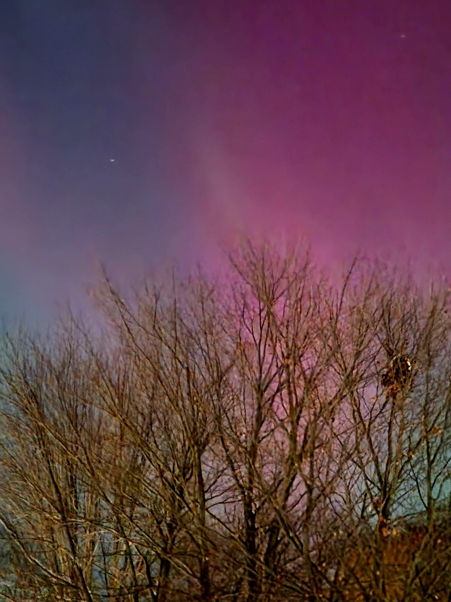 Aurora borealis lights up the sky over Ottawa – CTVNews
