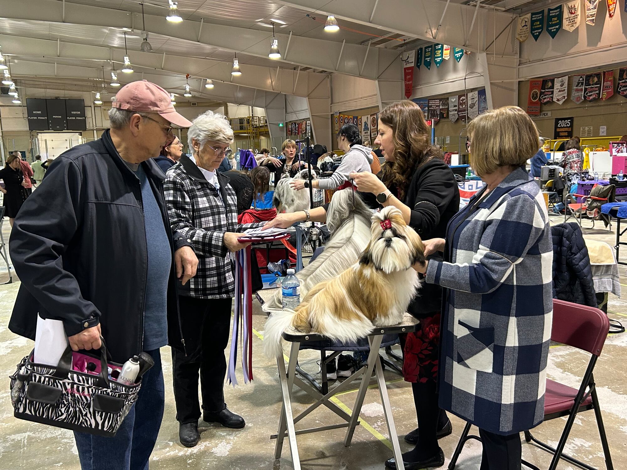 Nickel District Kennel Club dog show – CTVNews
