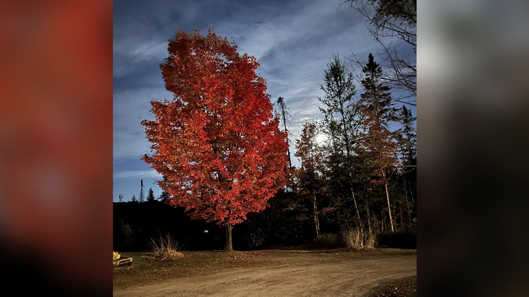 Picture This: Stunning Autumn Shots – CTVNews