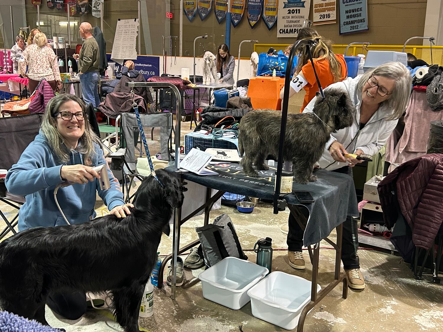 Nickel District Kennel Club dog show – CTVNews