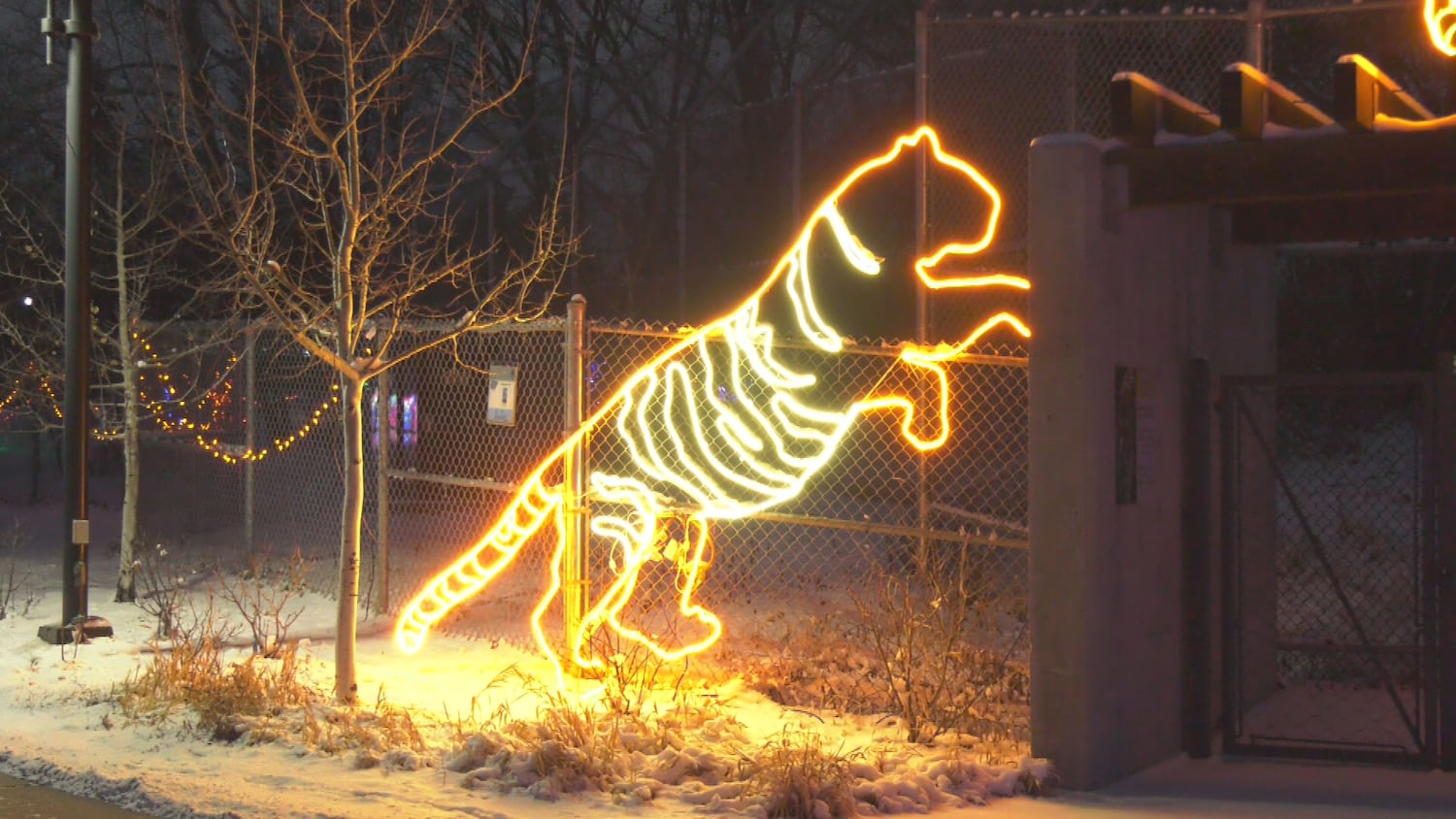Zoominescence at the Edmonton Valley Zoo – CTVNews