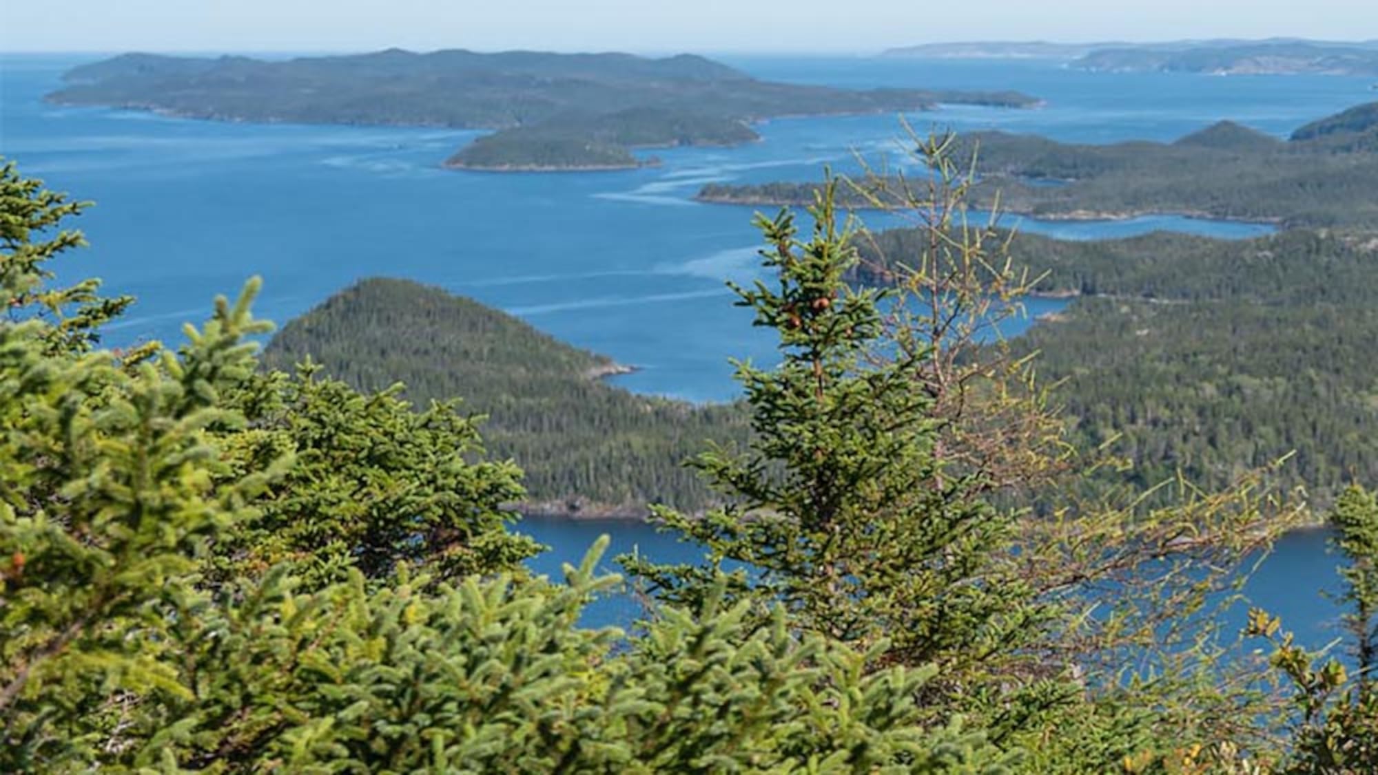 Travel to these awe-inspiring national parks with stunning views – CTVNews