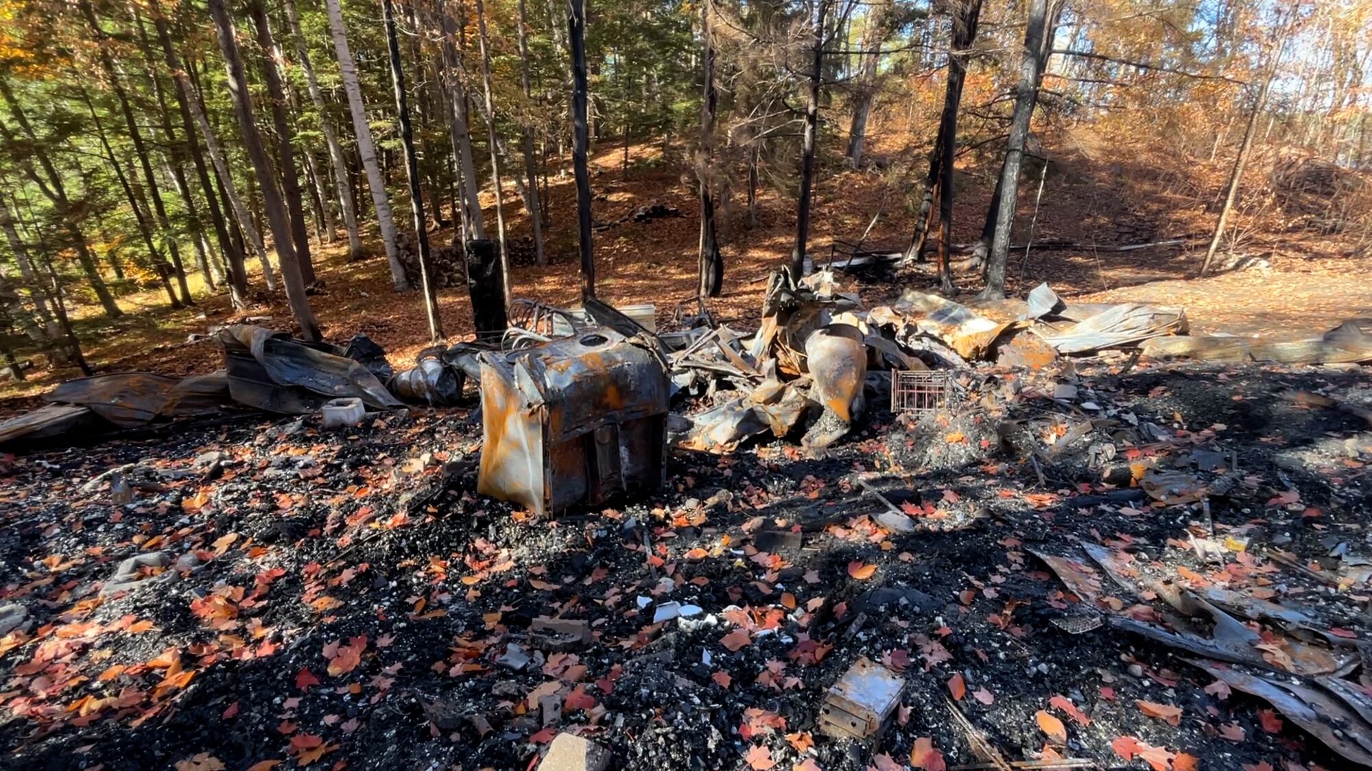 Surveying the damage from a wildfire on Bobs Lake – CTVNews