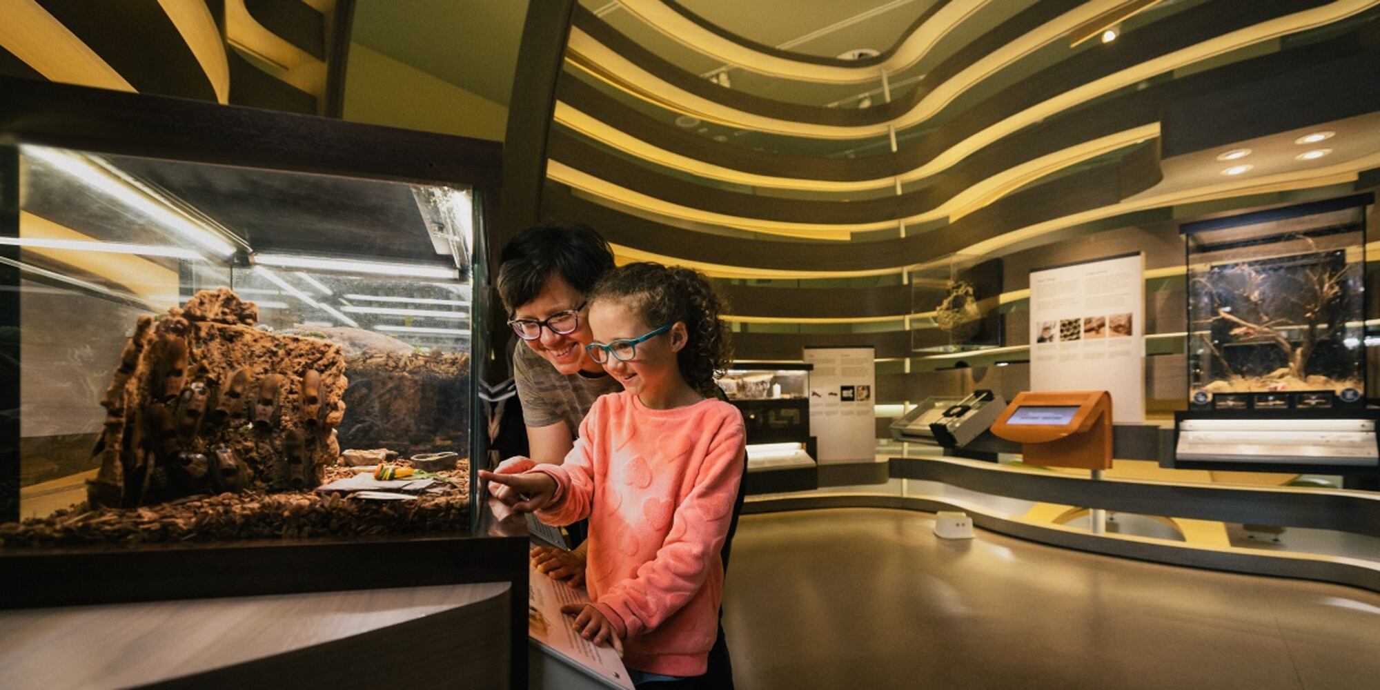 Here are all the museums and galleries offering free or discounted ...