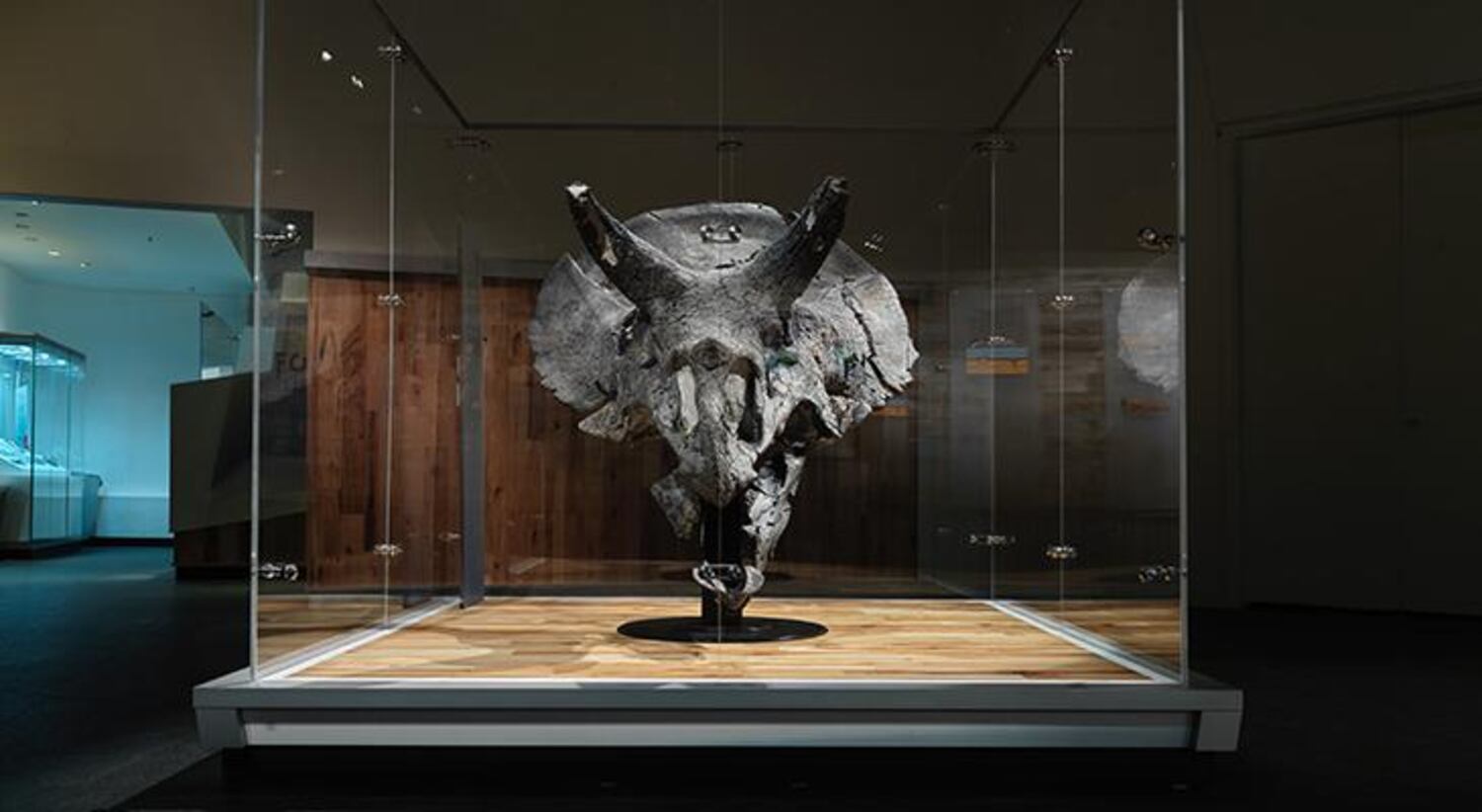 Here are all the museums and galleries offering free or discounted ...