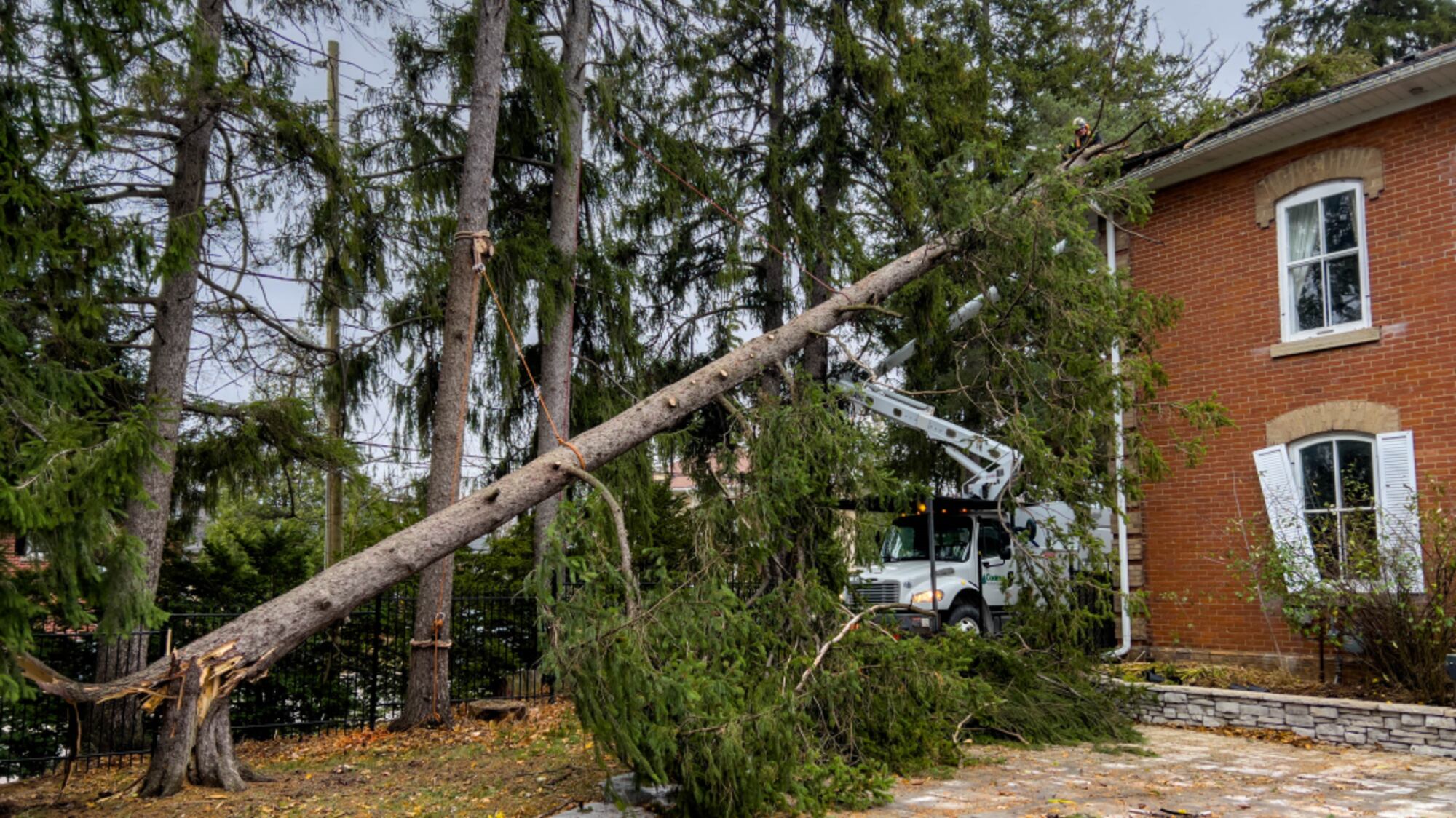 Tornado leaves path of destruction in Fergus, Ont. – CTVNews