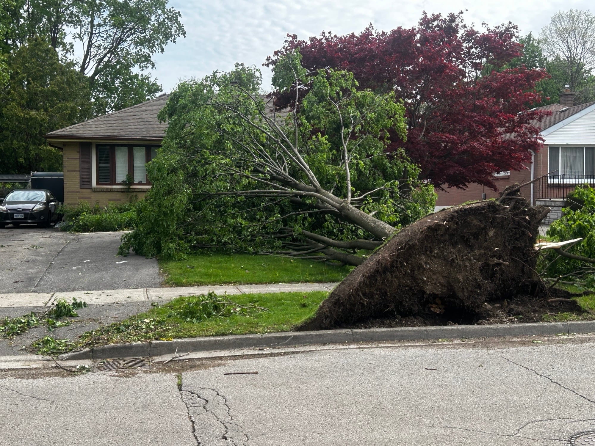 High-speed storm sweeps through southern Ontario – CTVNews