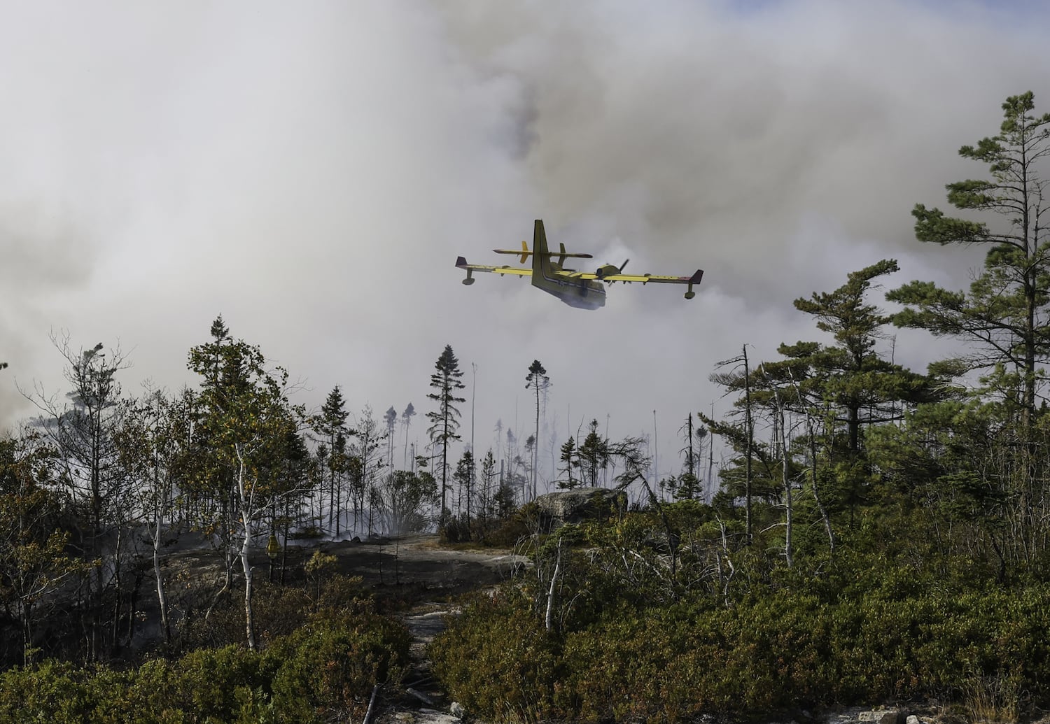 In Pictures: Bayers Lake Wildfire – CTVNews