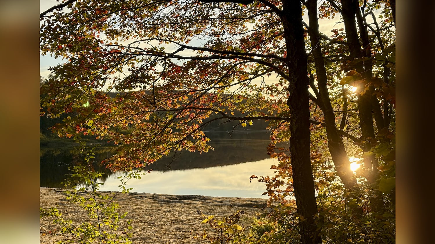 Picture This: Stunning Autumn Shots – CTVNews