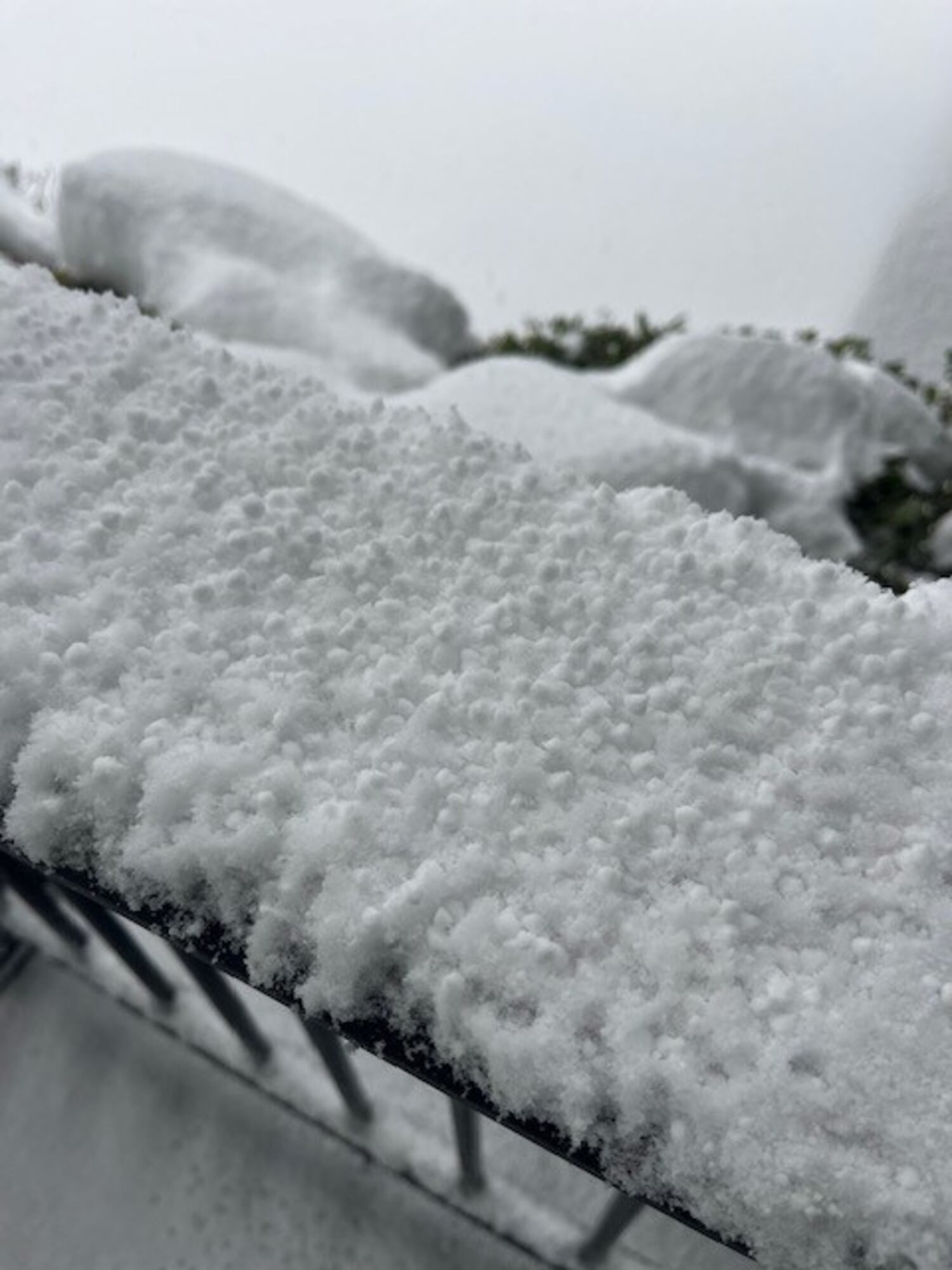 Snow Arrives in the London area – CTVNews