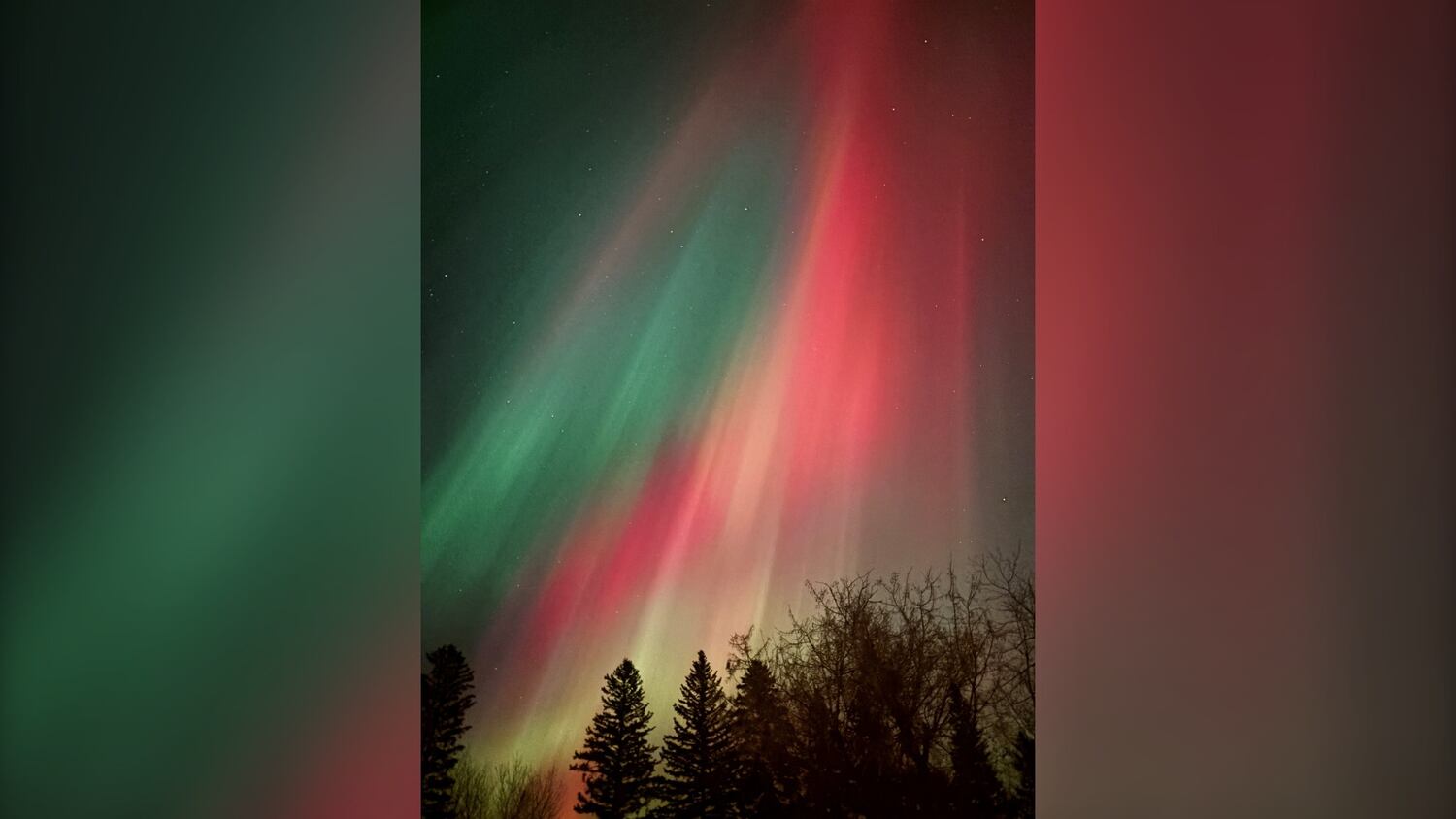 Northern lights illuminate Alberta skies – CTVNews