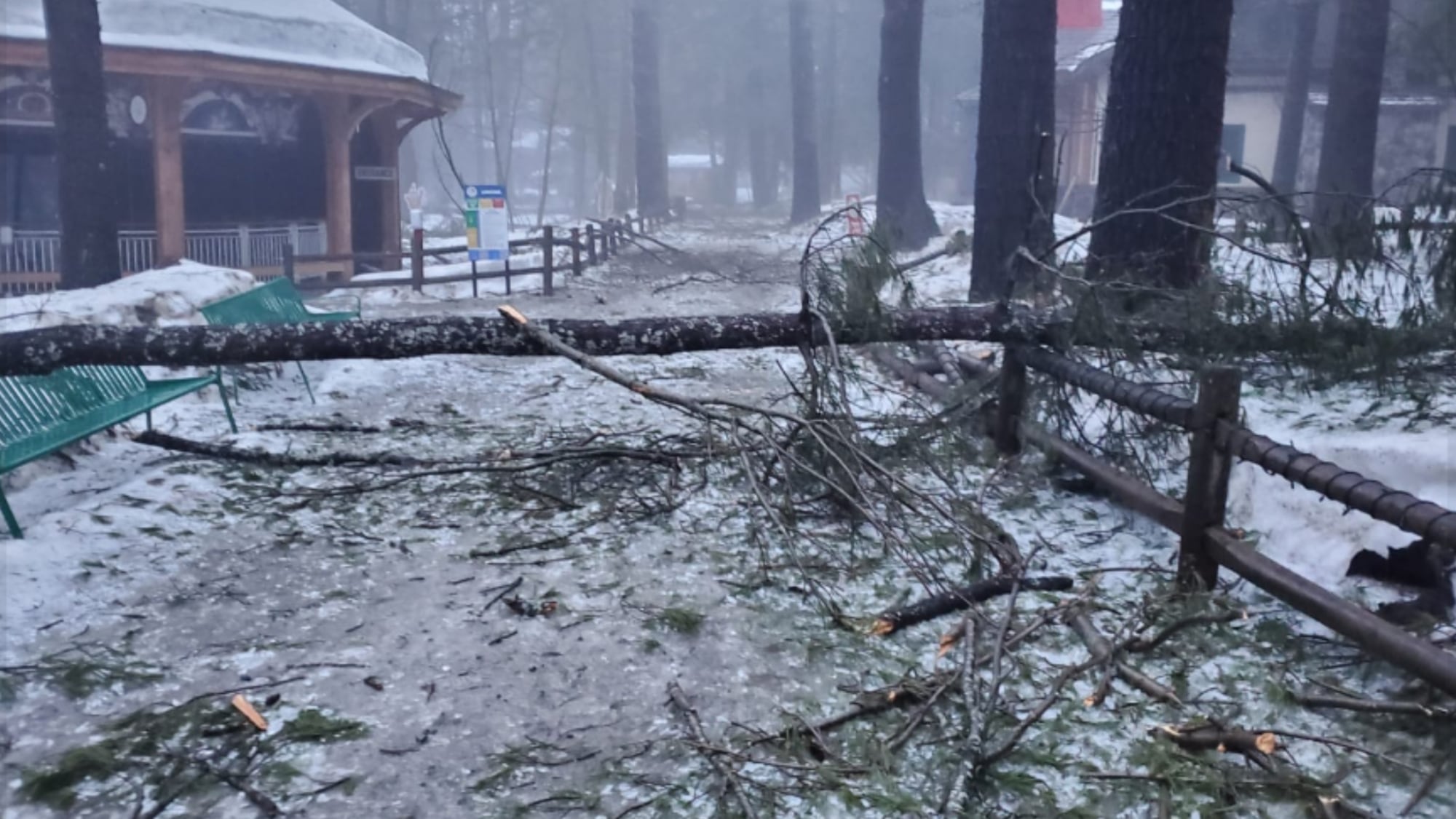 Ice storm causes widespread power outages and damage across Simcoe ...