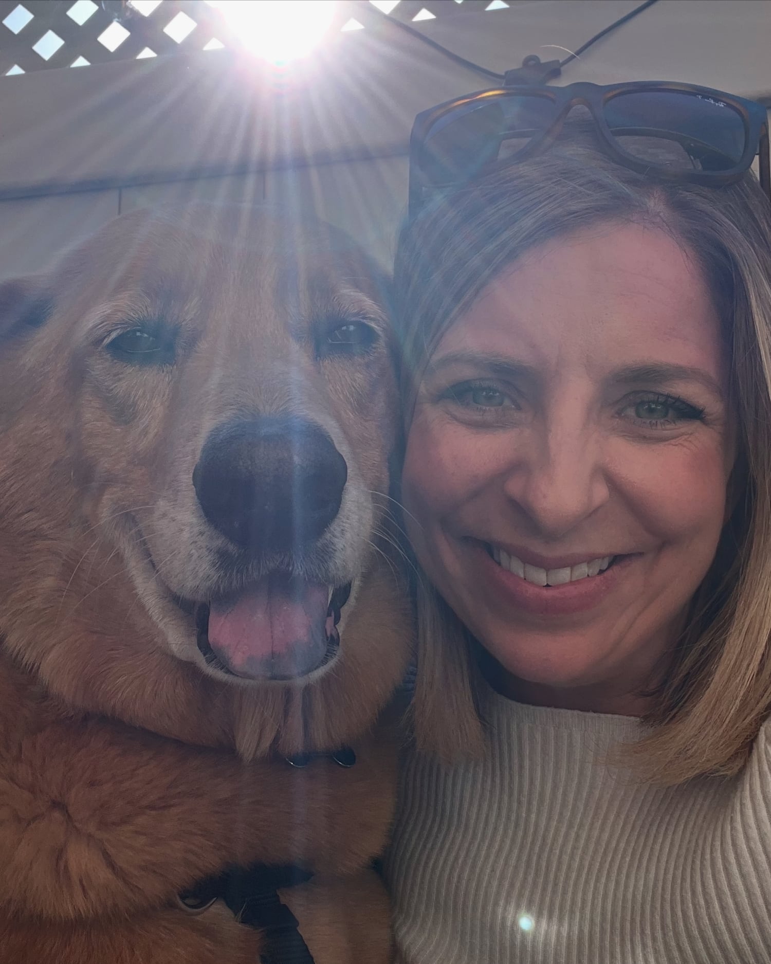 Dogs and cats of CTV News Kitchener – CTVNews