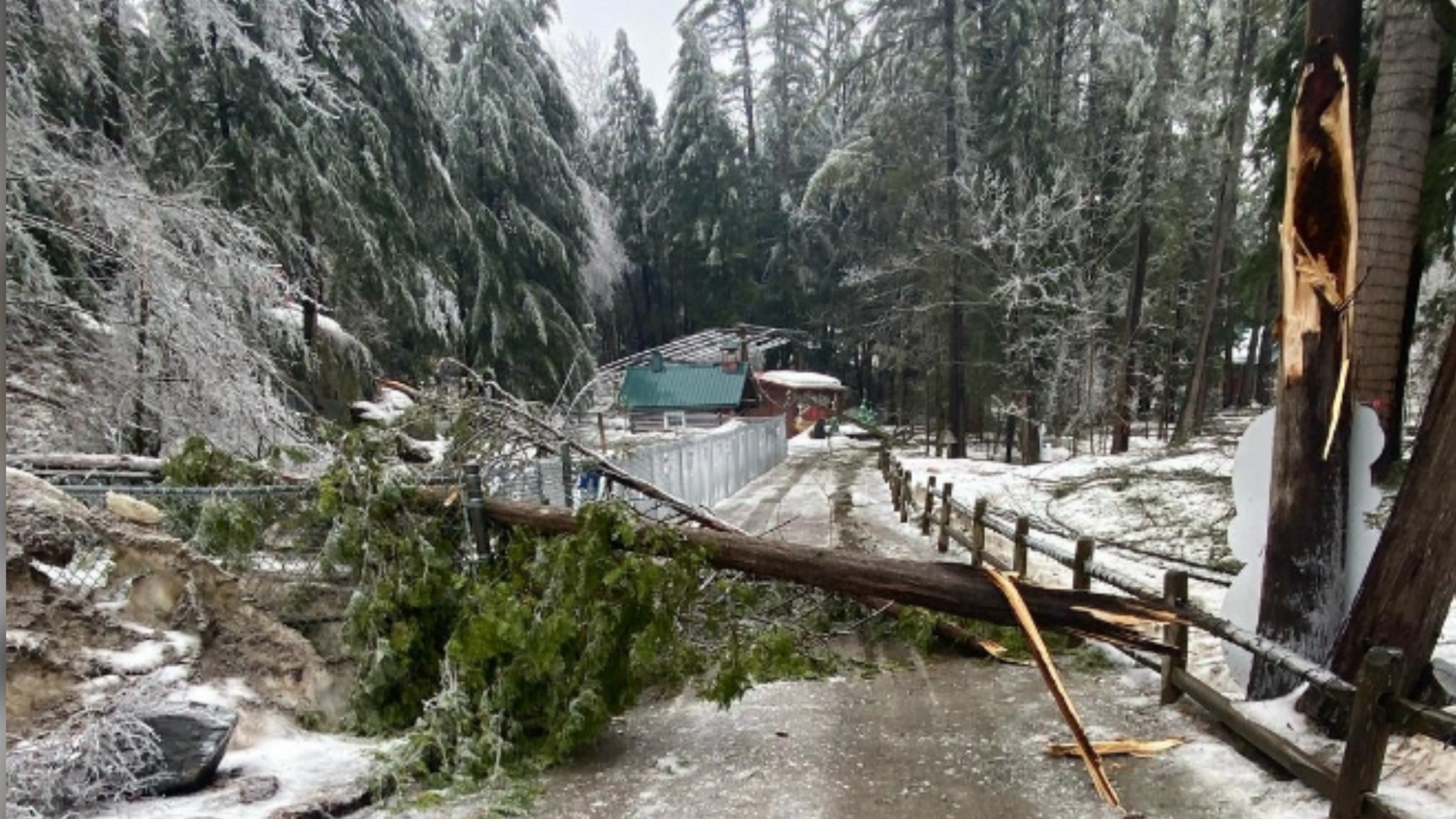 Ice storm causes widespread power outages and damage across Simcoe ...
