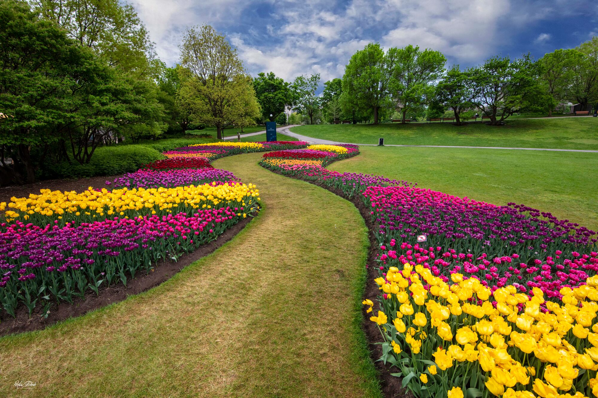 Through your lens: All things spring – CTVNews