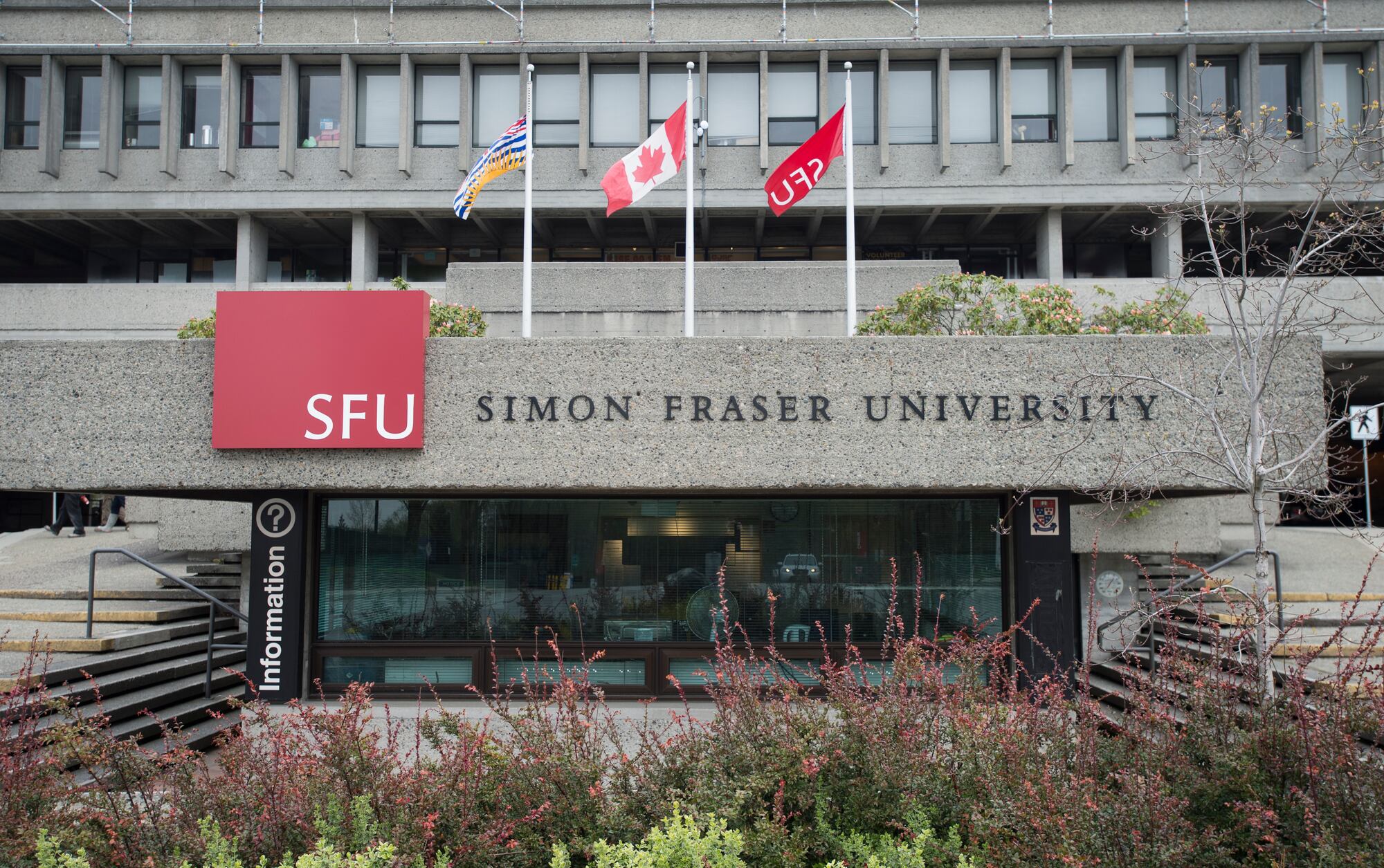 Here are the top universities in North America, according to a new 2025 ...