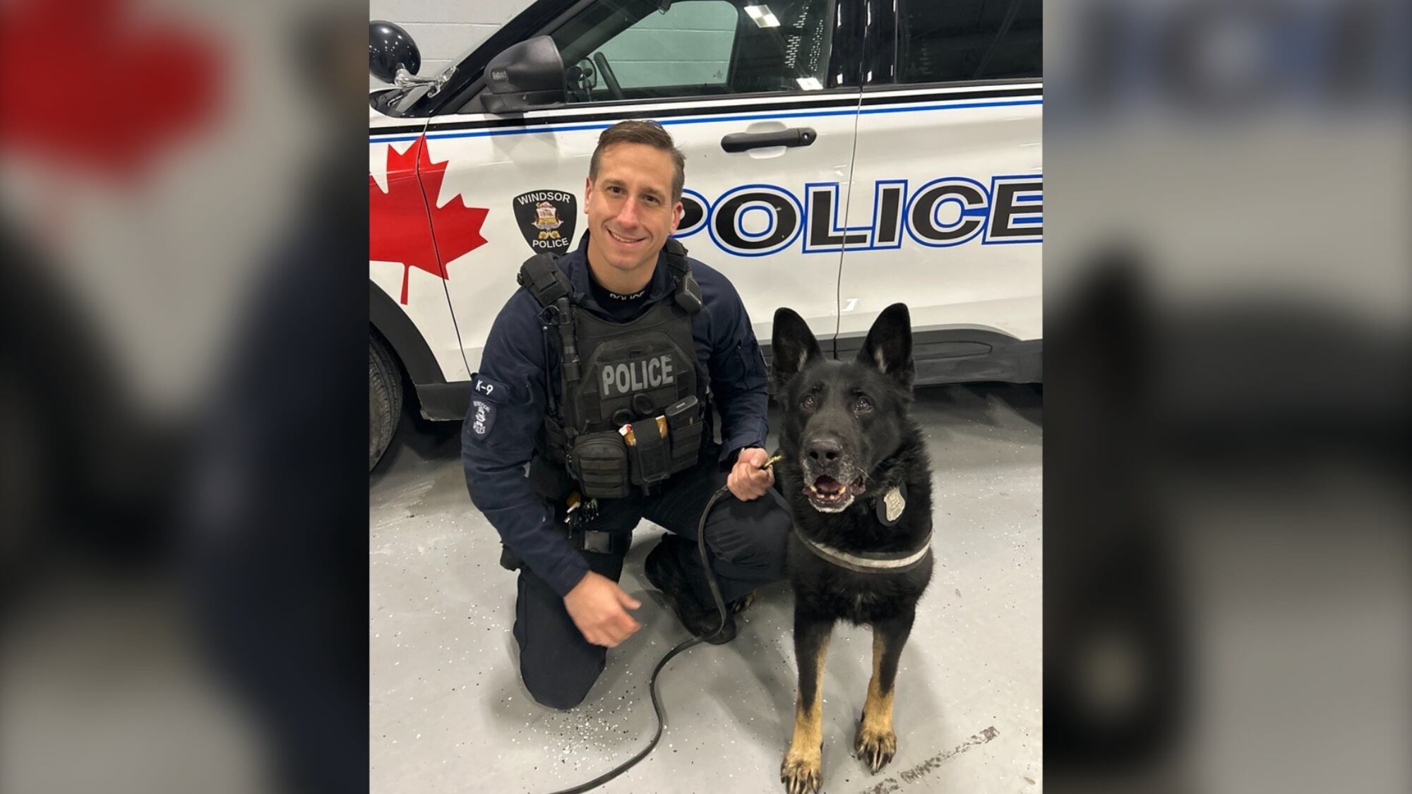 Meet WPS' new K9 Smoke – CTVNews