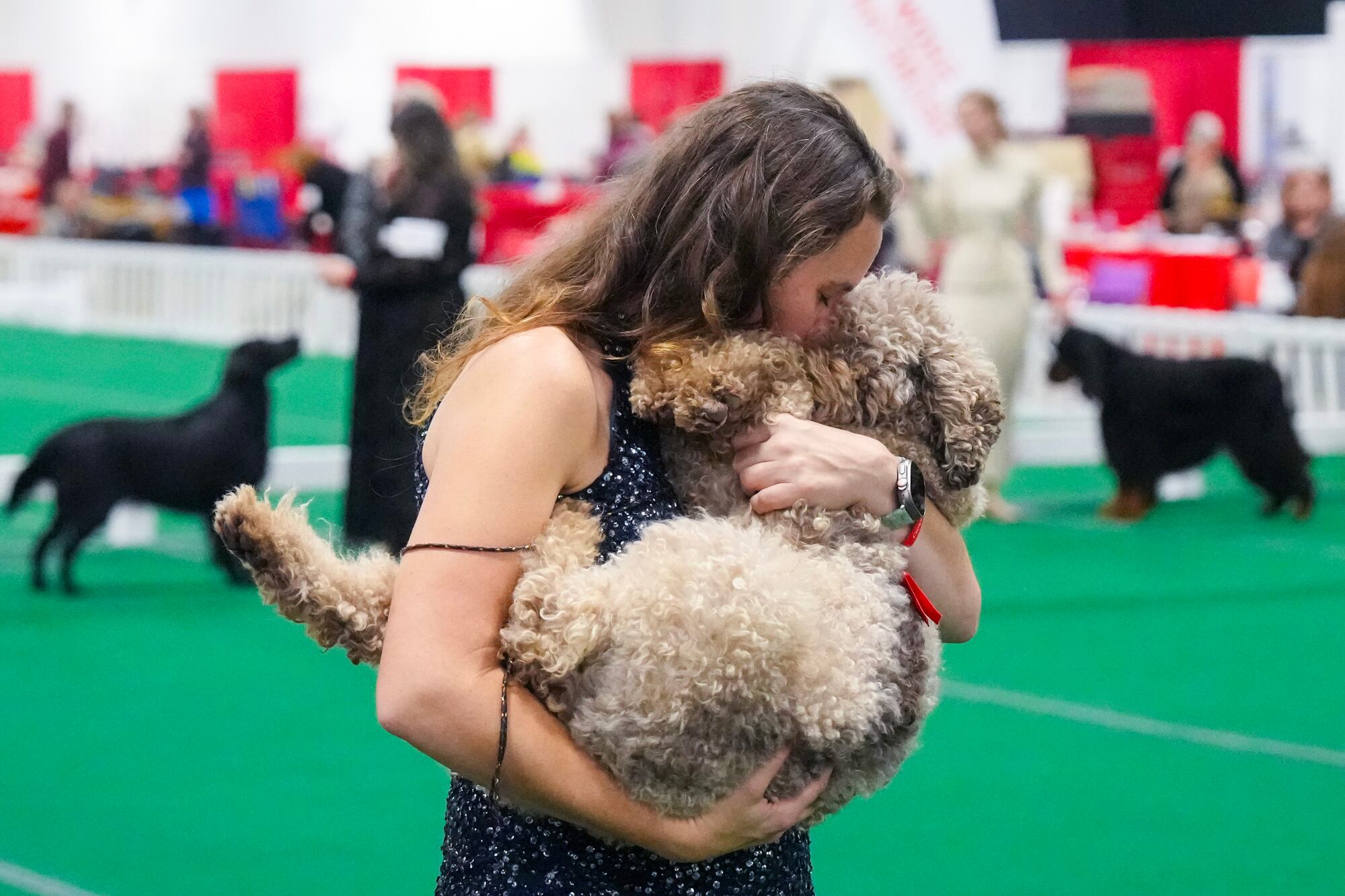 2025 Crown Classic National Championship Dog Show: Furry faces and ...