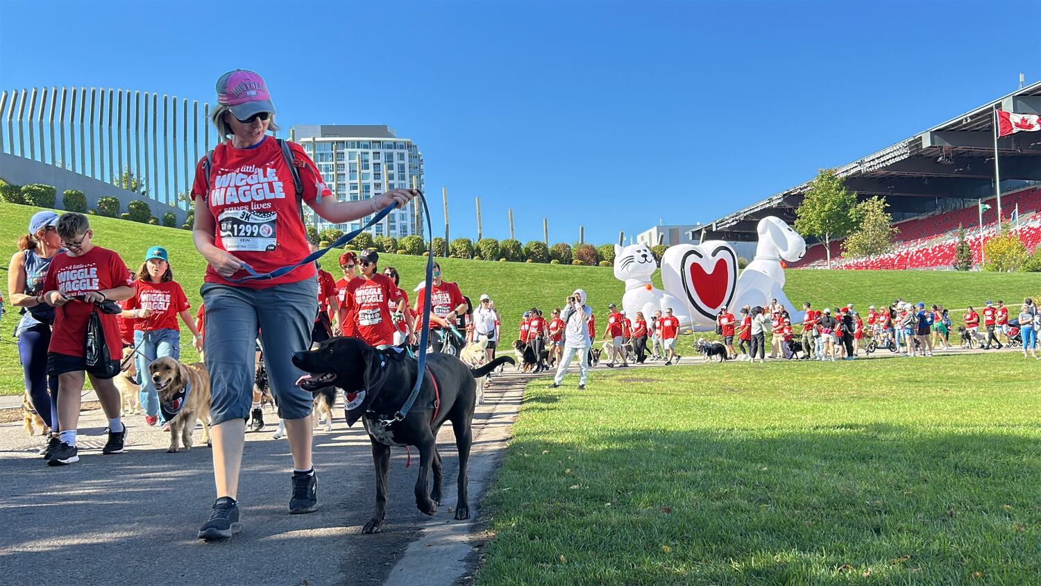 So many dogs at the Wiggle Waggle Walk and Run – CTVNews