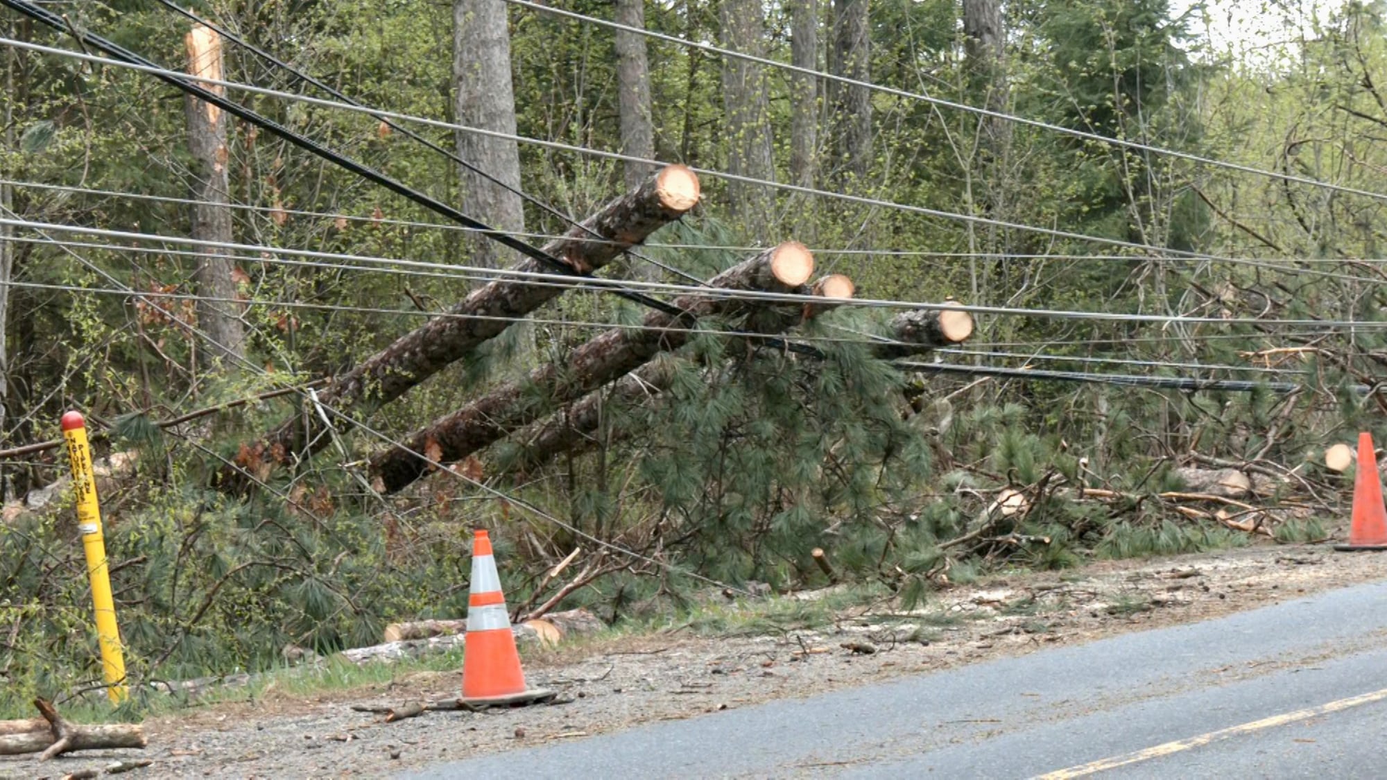 Severe storm damage across Huntsville, Ont. – CTVNews