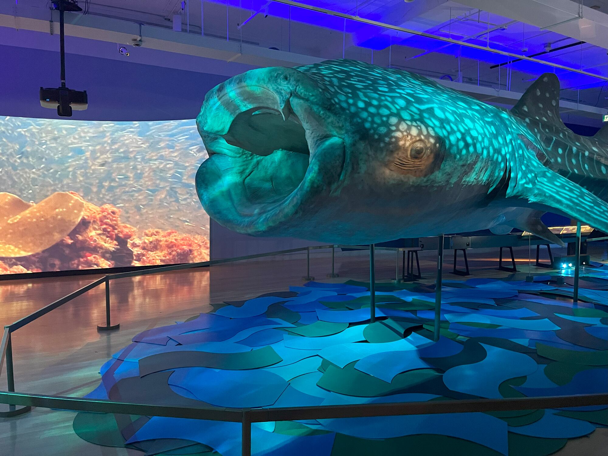 From ‘Jaws’ to ‘The Meg,’ here’s how a new ROM exhibit hopes to ...
