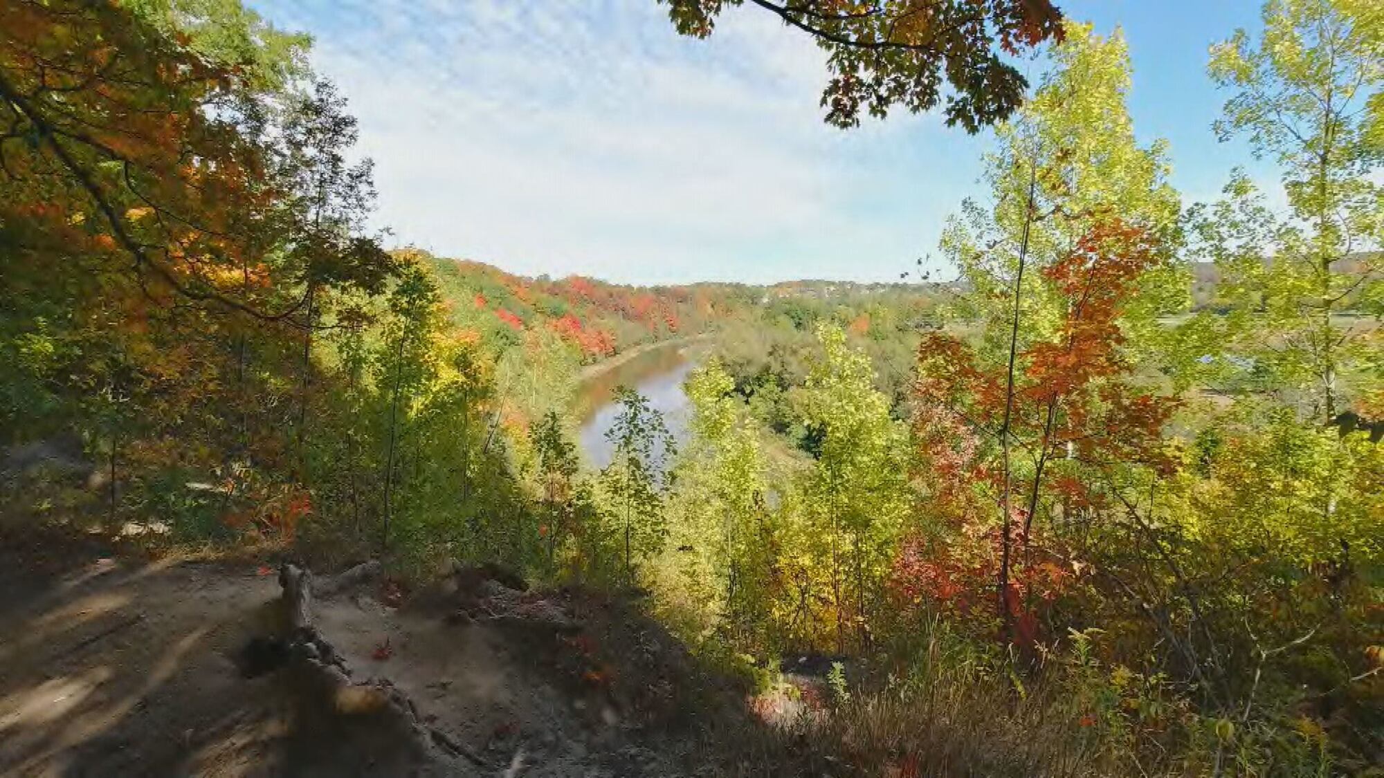 Fall foliage in southern Ontario – CTVNews