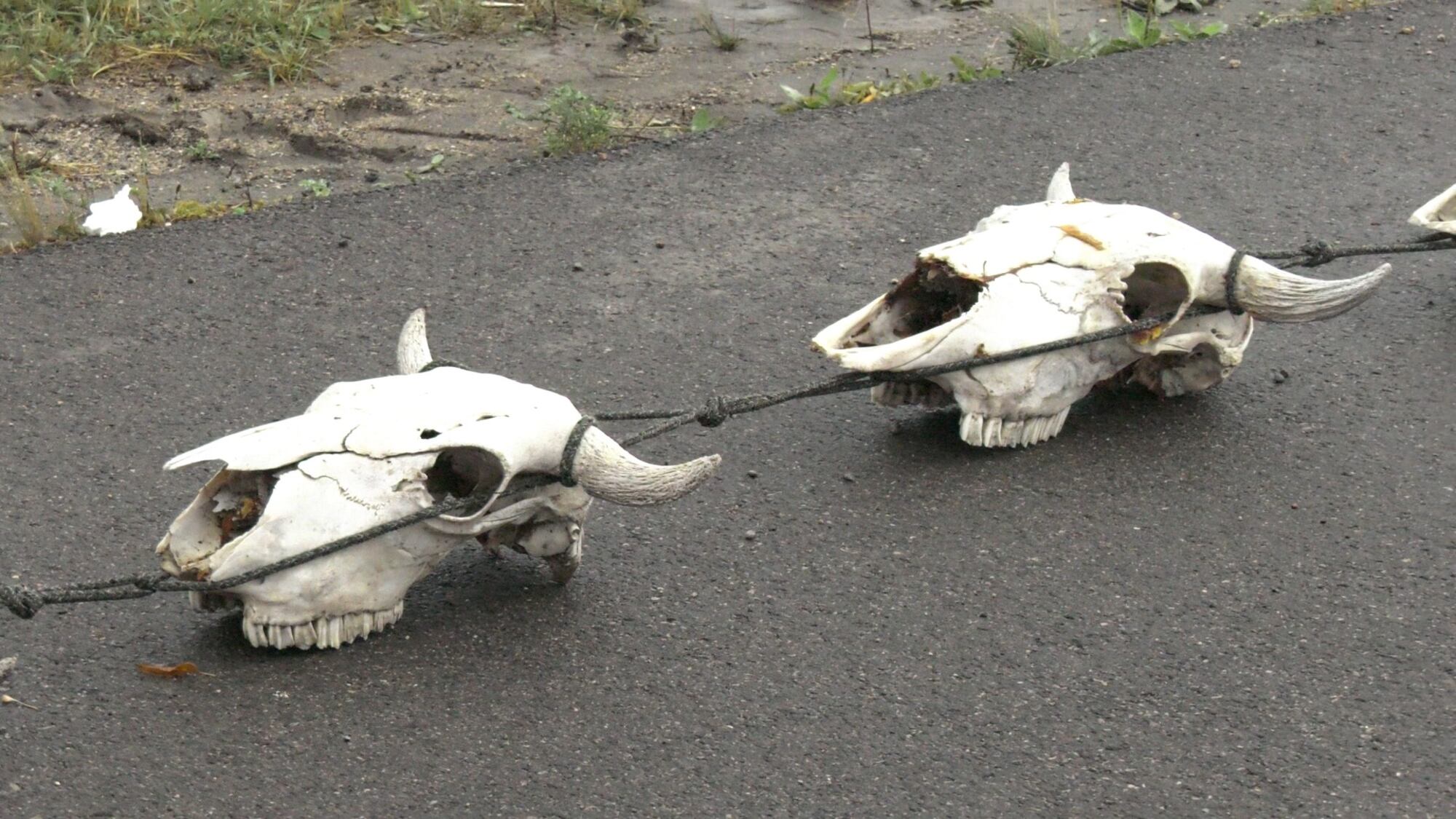 Tatanga Skull Walk – CTVNews