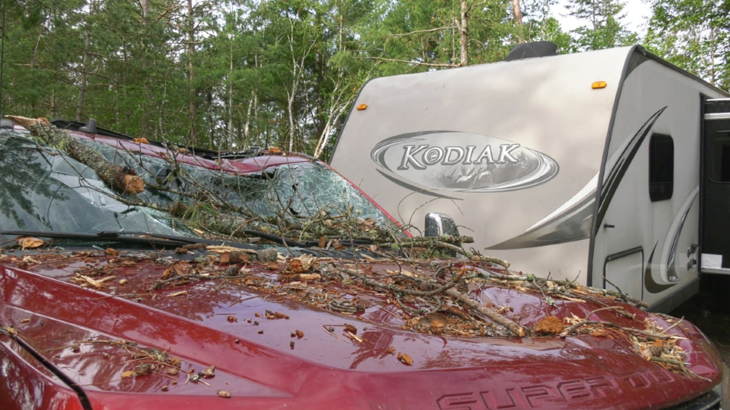 Samuel de Champlain Provincial Park damage – CTVNews