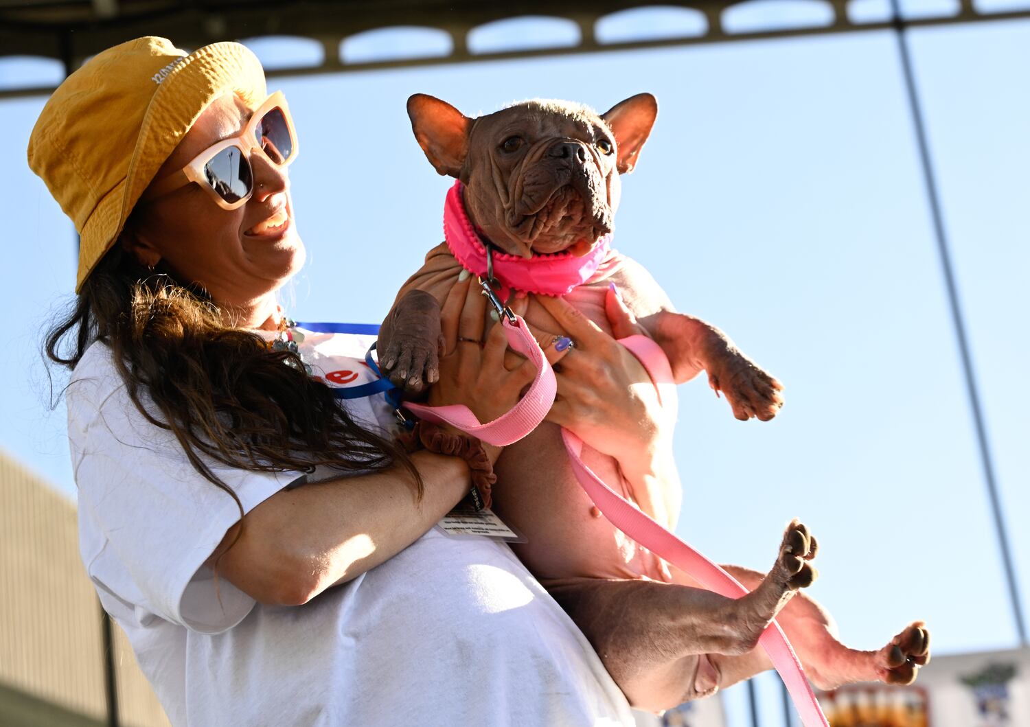 World’s Ugliest Dog Contest: Here are some of the top contenders – CTVNews