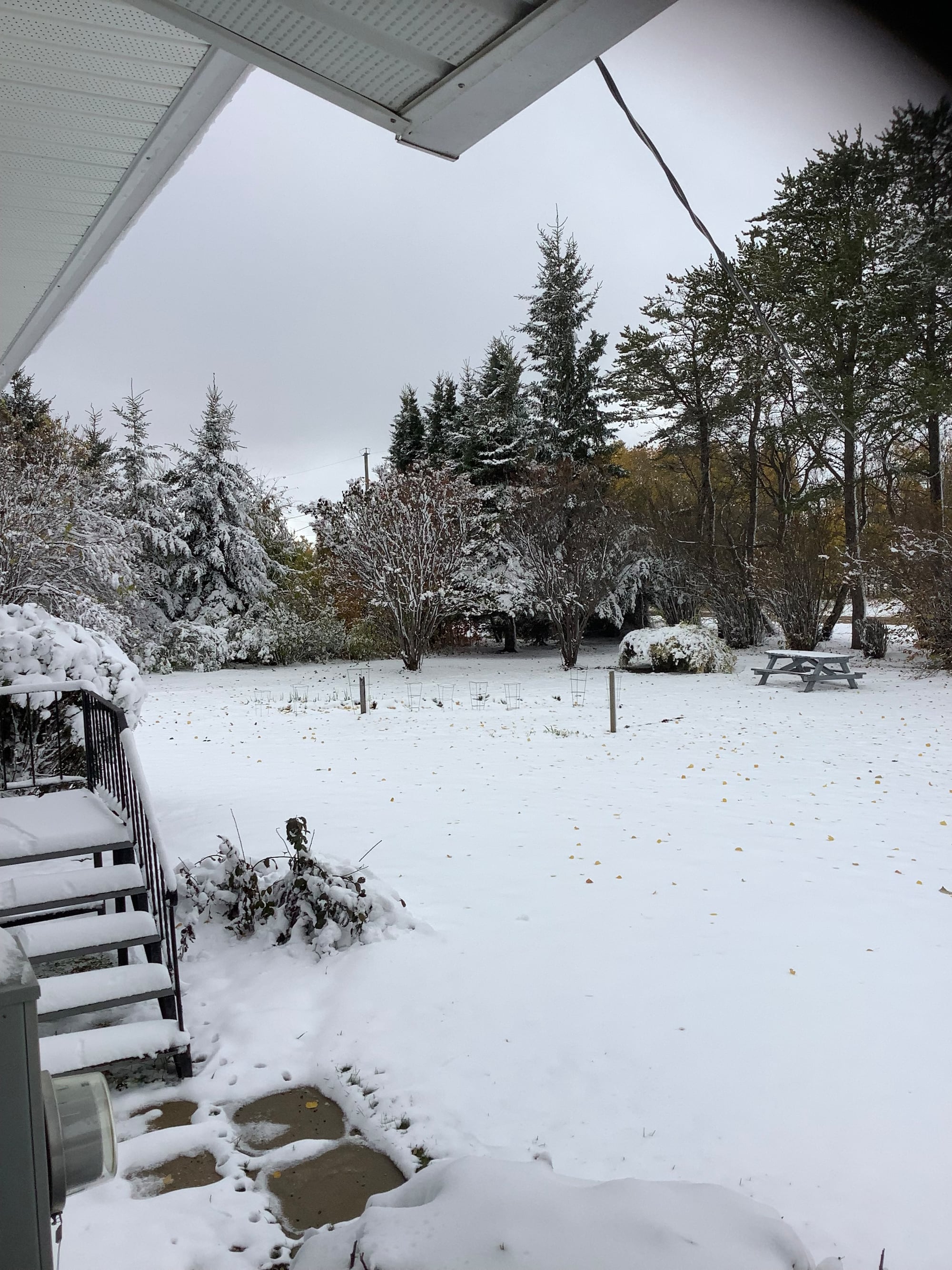 Manitoba Snow Storm - October 2025 – CTVNews