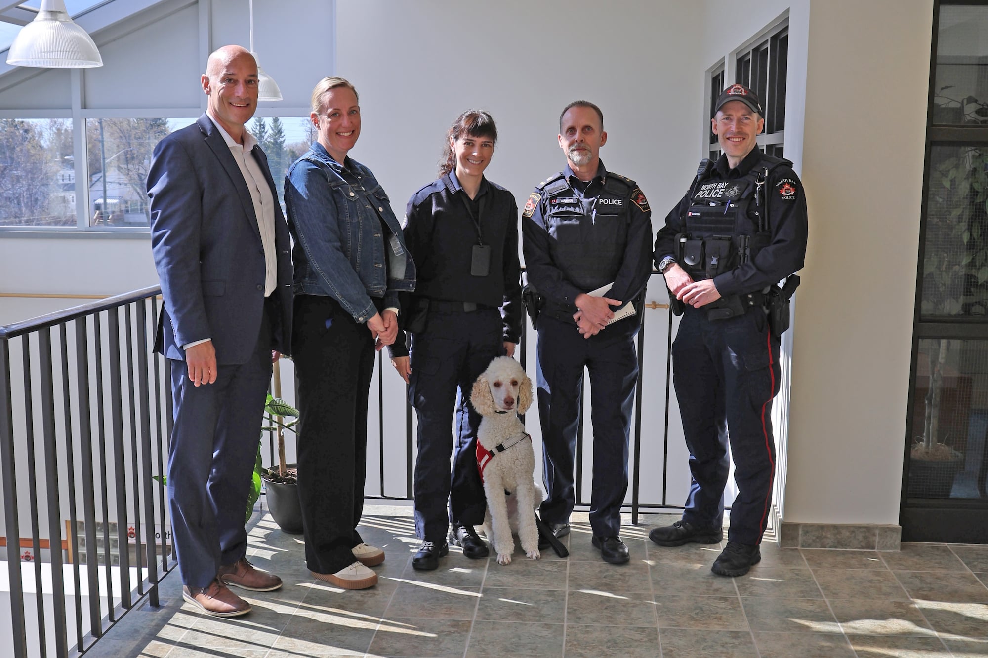 Moka, Nipissing's trauma support dog – CTVNews