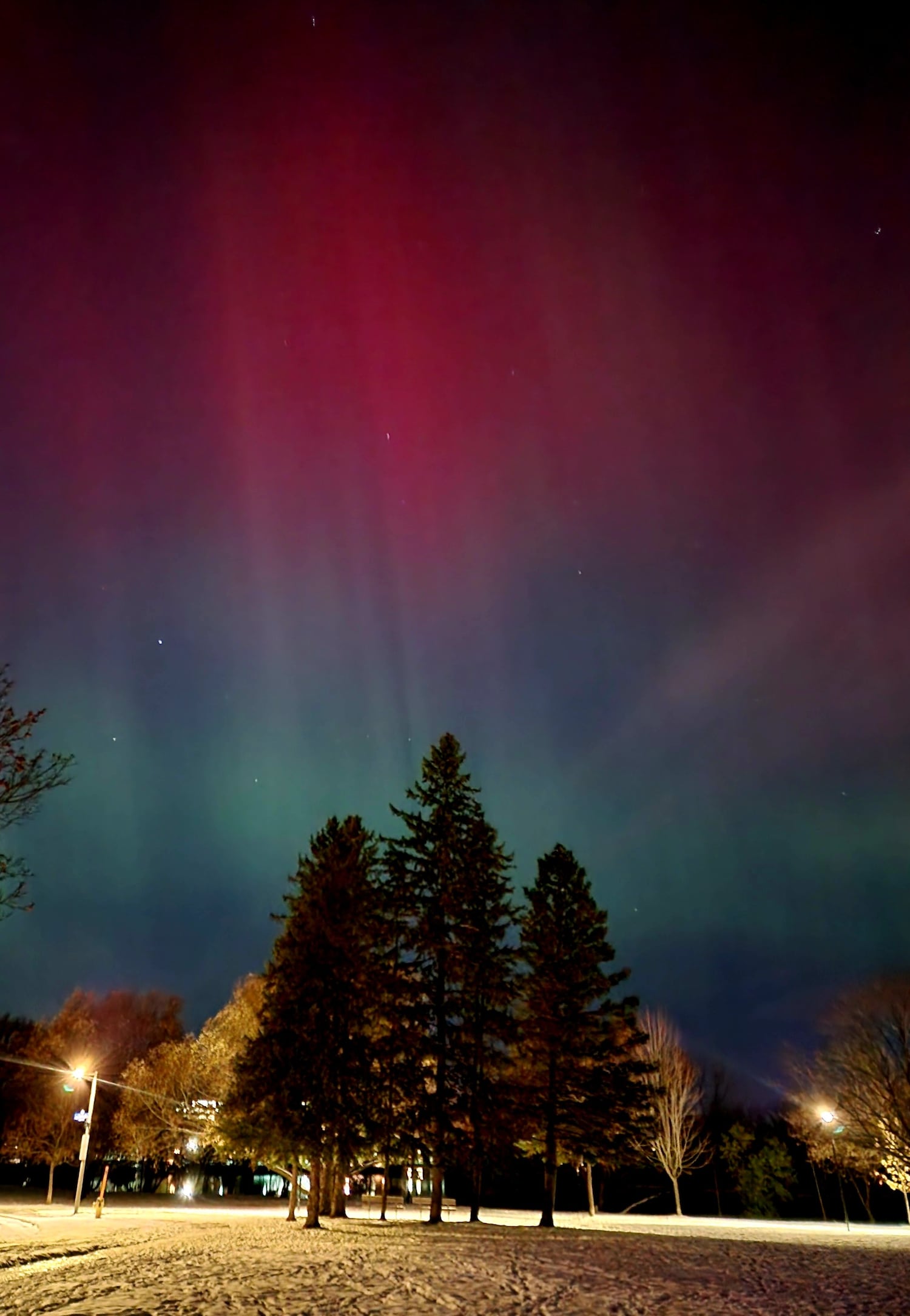 Aurora borealis lights up the sky over Ottawa – CTVNews